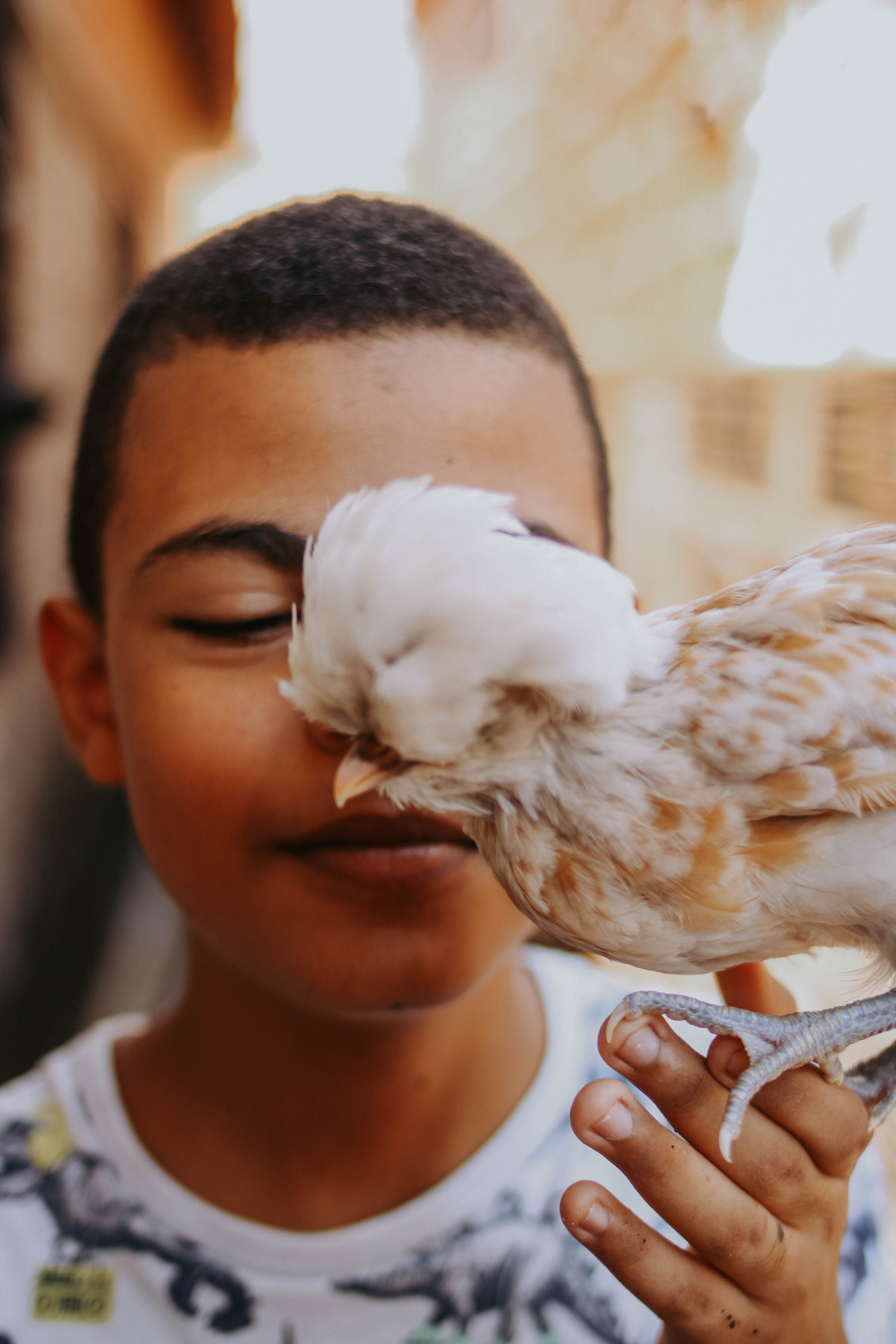 Boy Holding Chicken on Hand · Free Stock Photo
