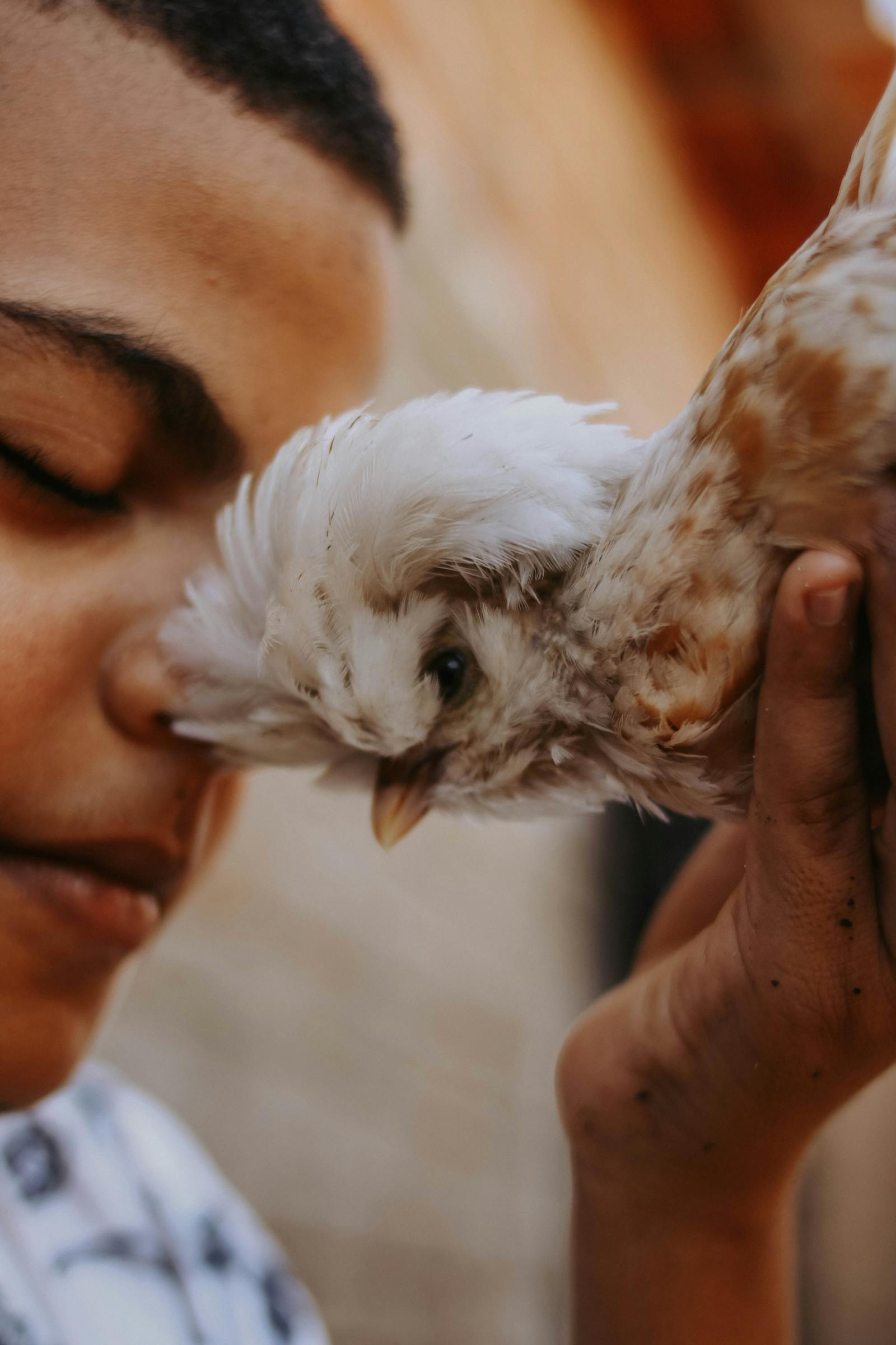 Boy With Bird Photos, Download The BEST Free Boy With Bird Stock Photos ...