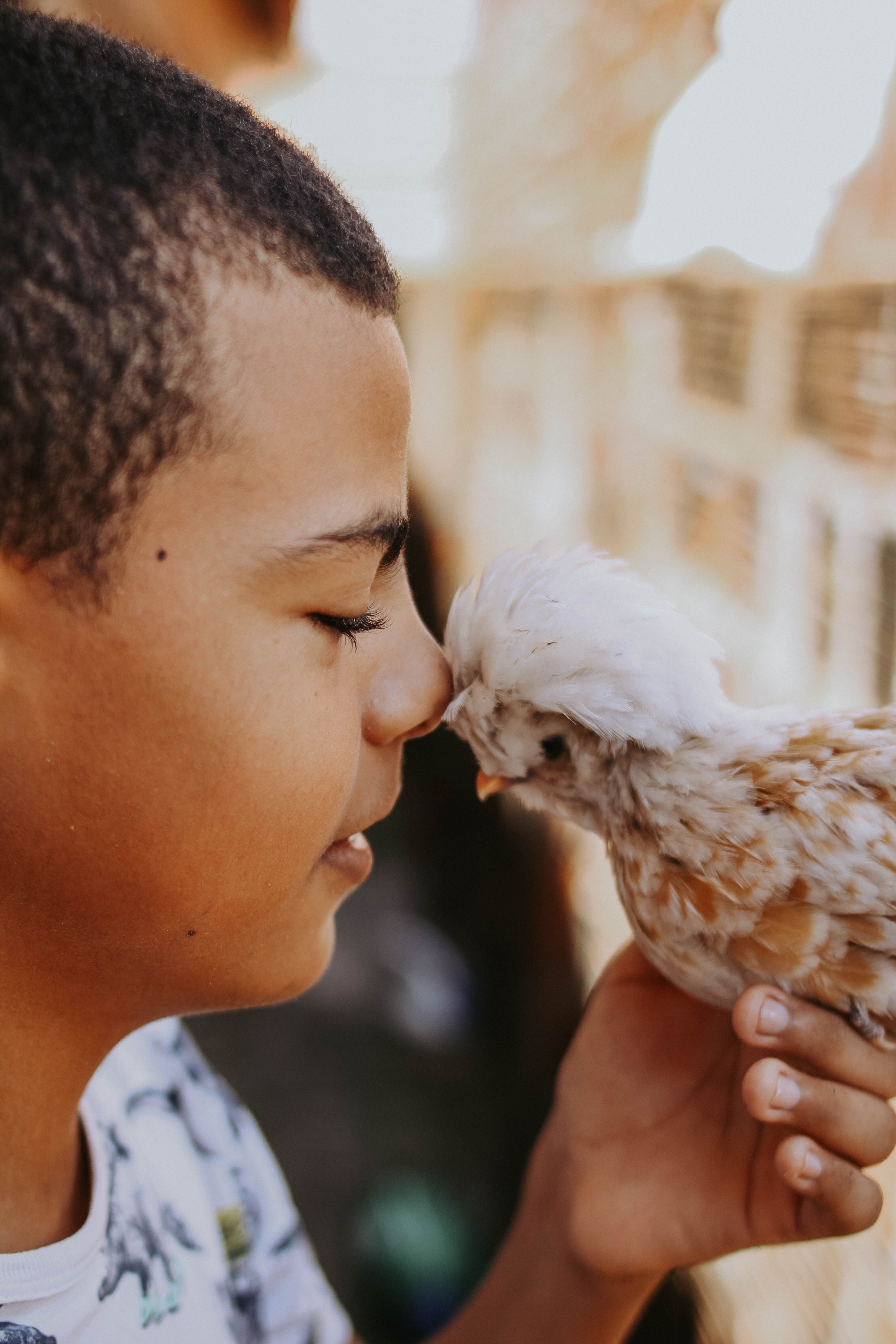 Foto de stock gratuita sobre acariciando, adorable, afecto, agricultura ...