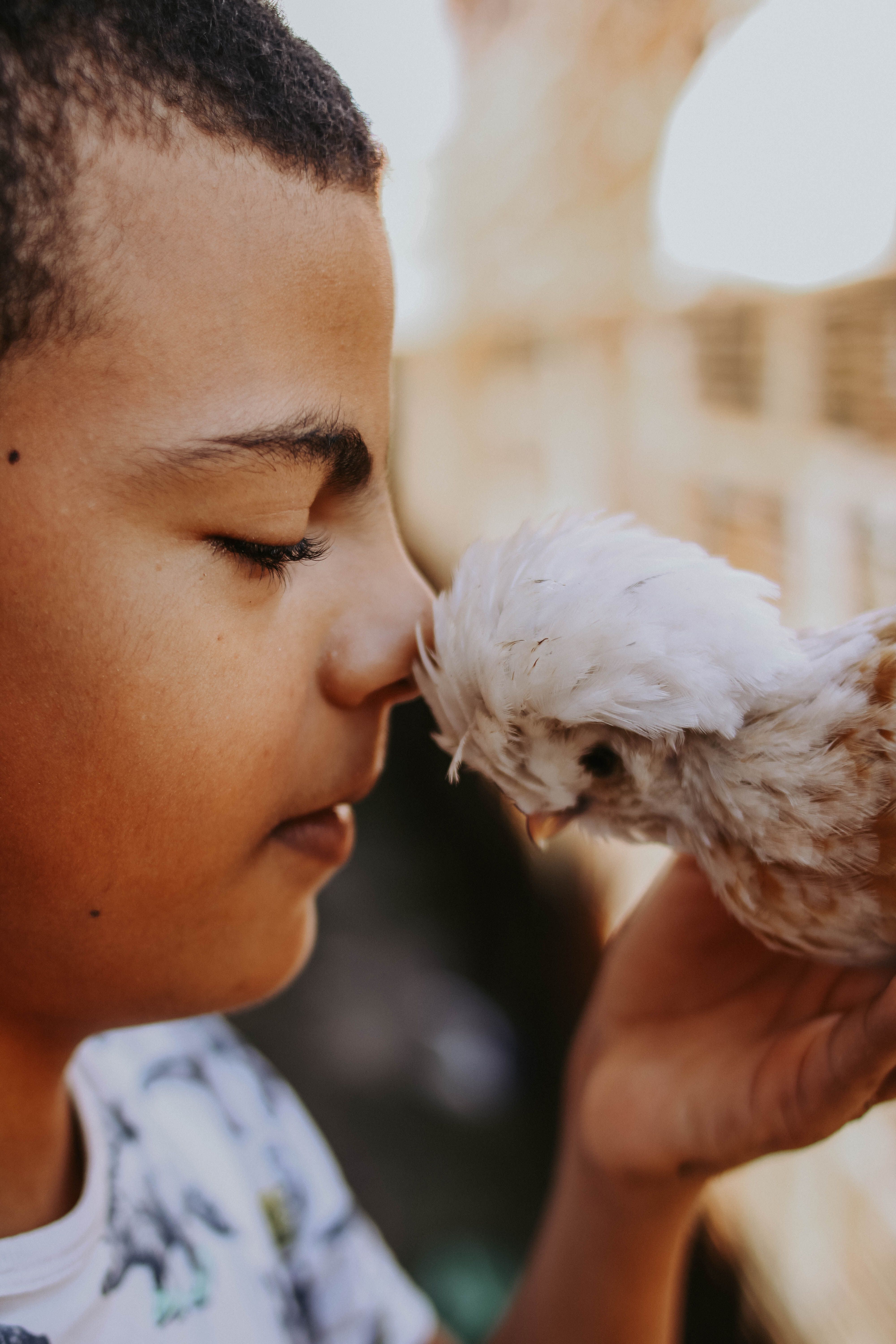 Boy Petting Padovana Chicken · Free Stock Photo