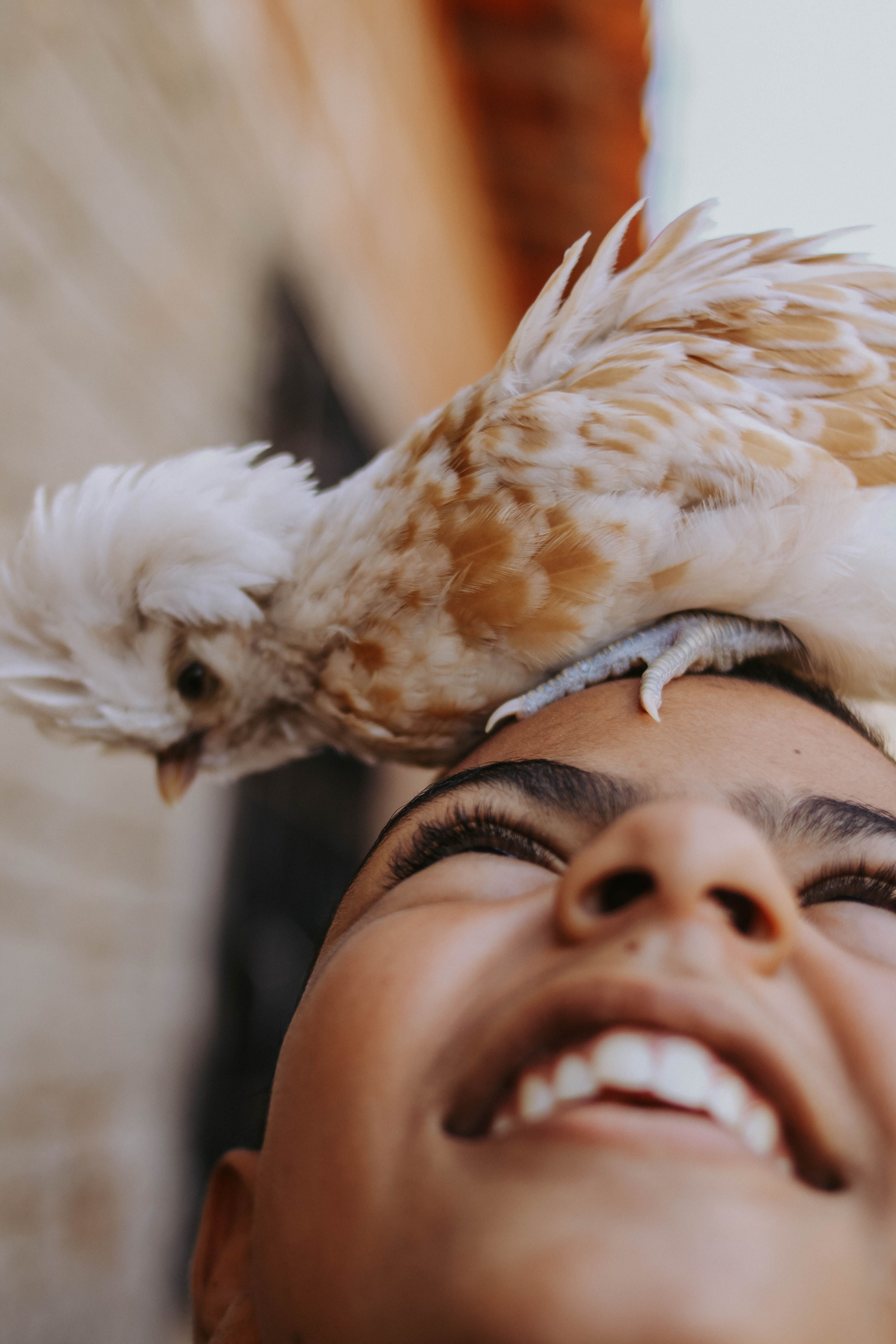A Bird on Persons Head · Free Stock Photo