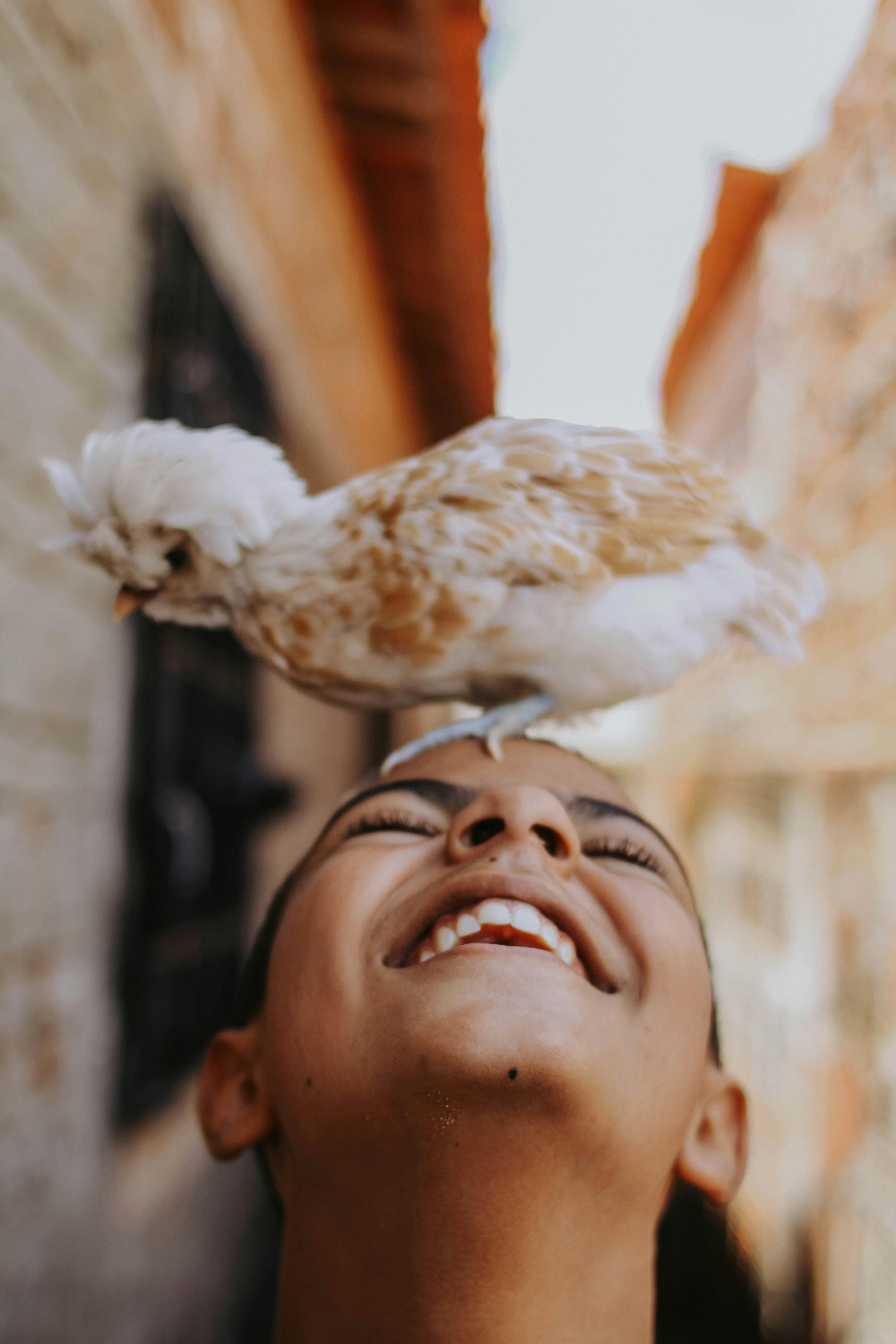 Chicken on Head of Smiling Child · Free Stock Photo