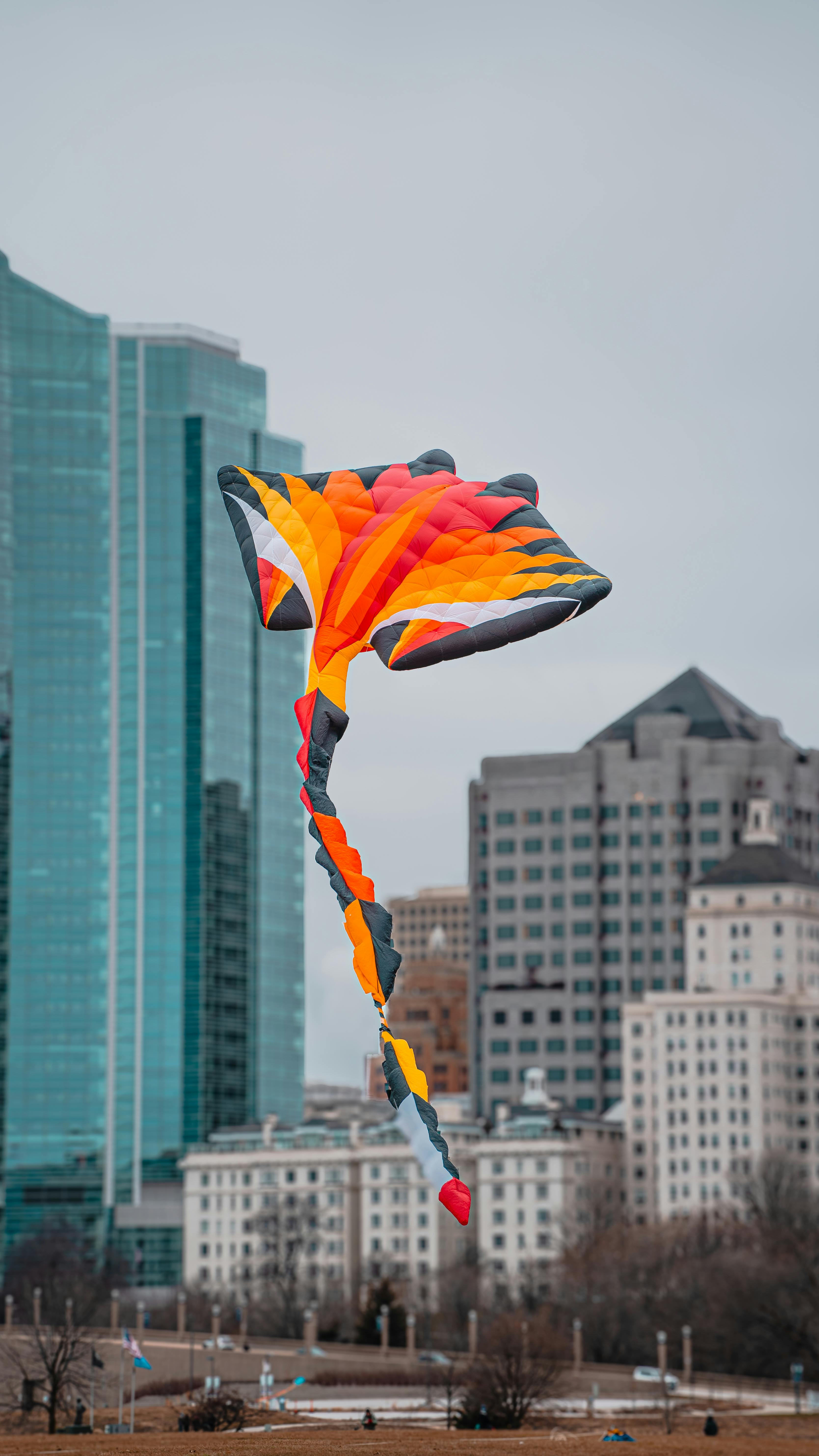 Kite Asl Photos, Download The BEST Free Kite Asl Stock Photos & HD Images