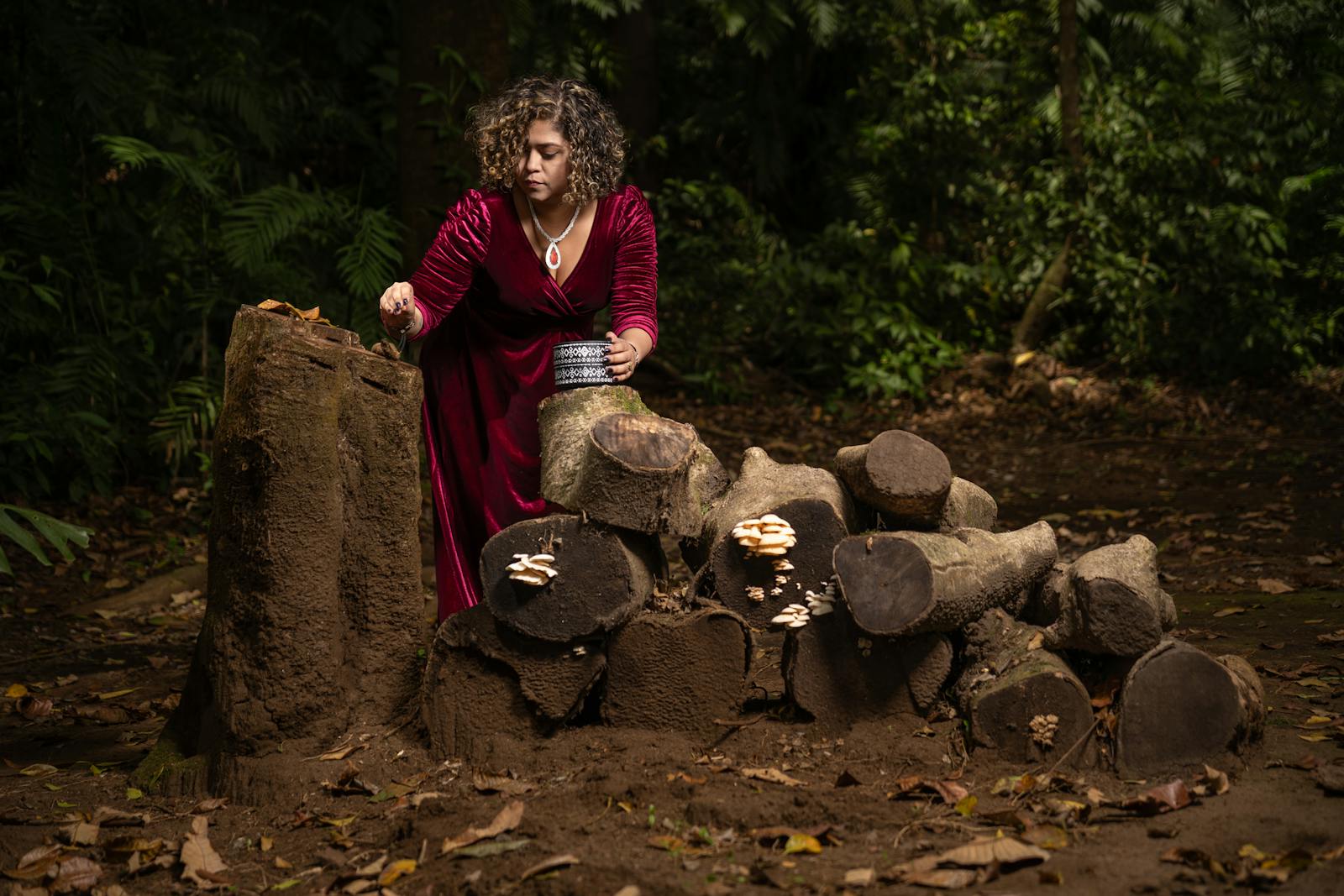 Tree Trunks Photos, Download The BEST Free Tree Trunks Stock Photos ...