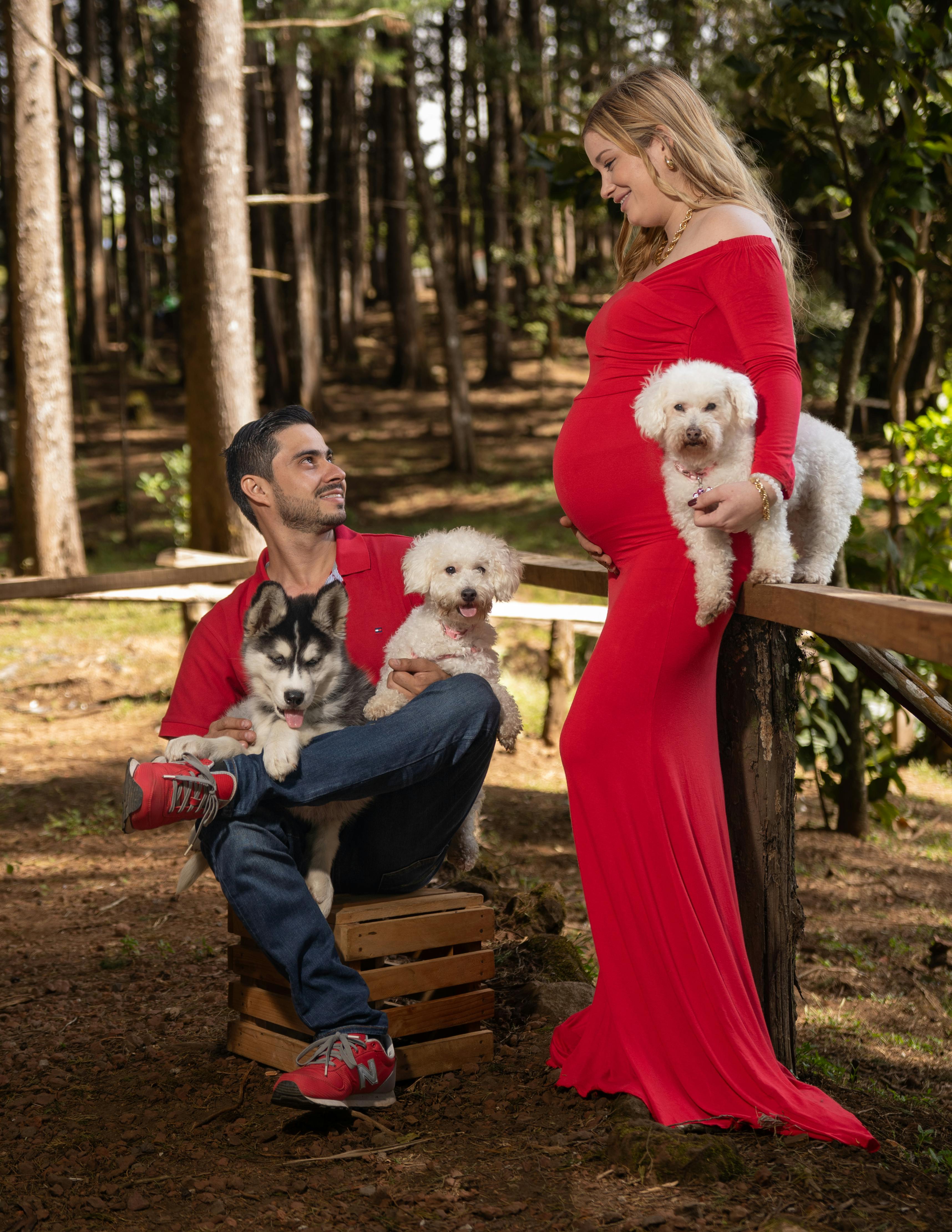 Dogs Standing In Line Photos, Download The BEST Free Dogs Standing In ...