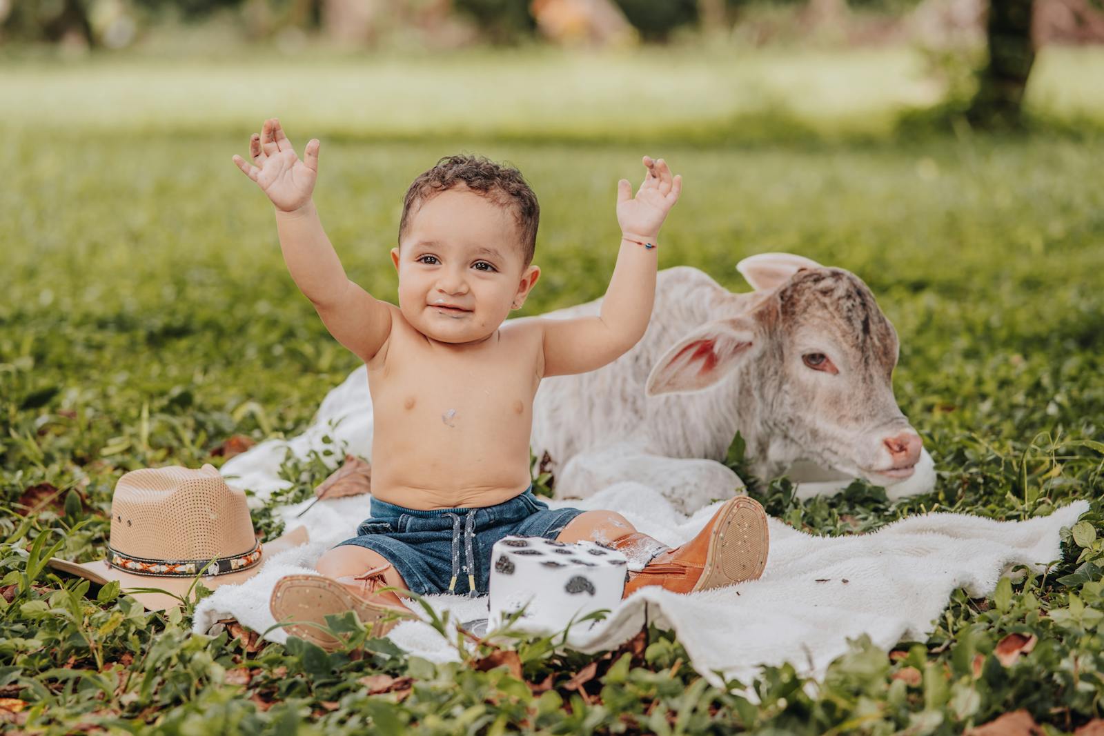 Cute Baby Cow Photos, Download The BEST Free Cute Baby Cow Stock Photos ...