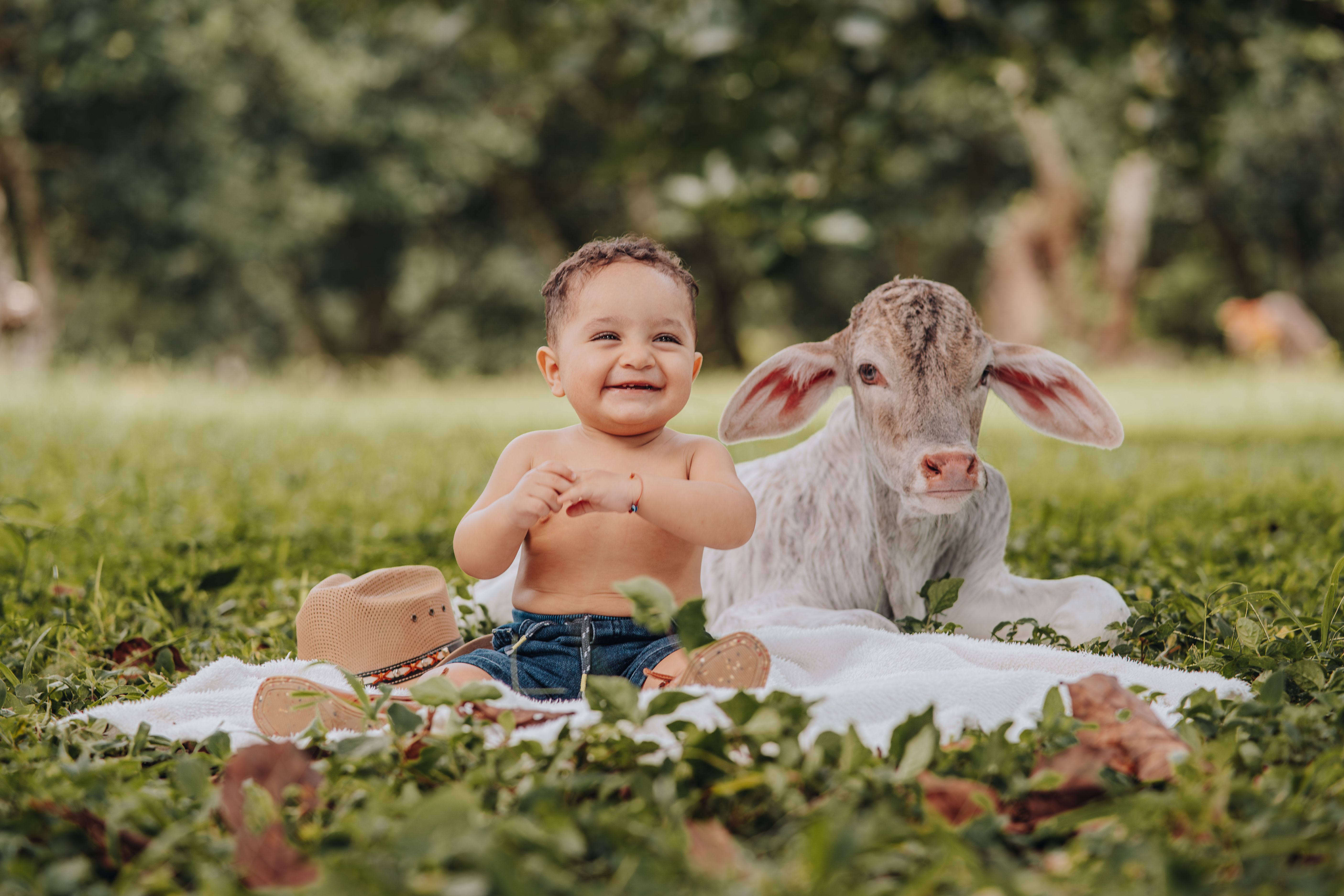 Laughing Animals Photos, Download The BEST Free Laughing Animals Stock ...