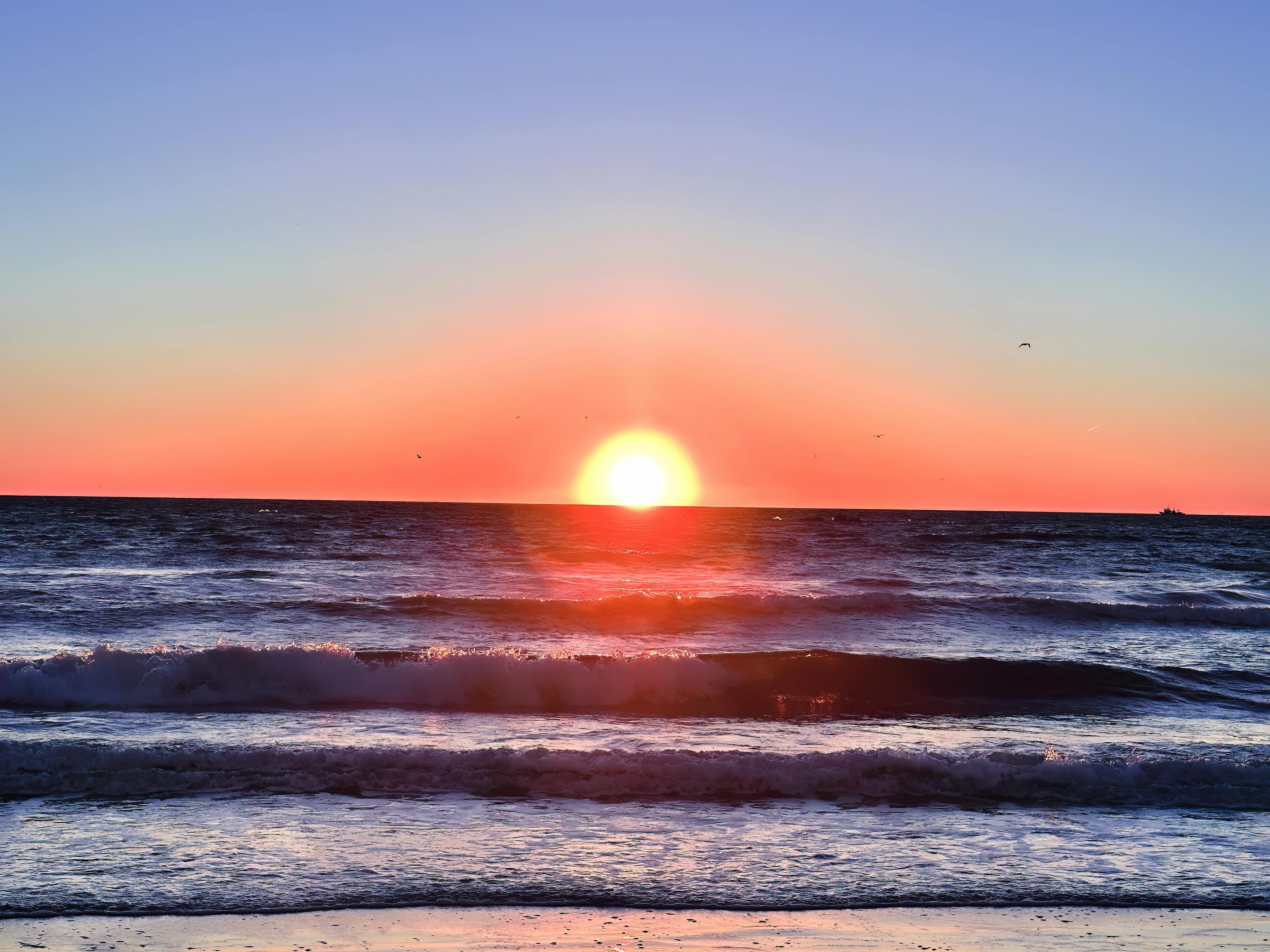 Venkata Sai Goutham Vaddi - 사진