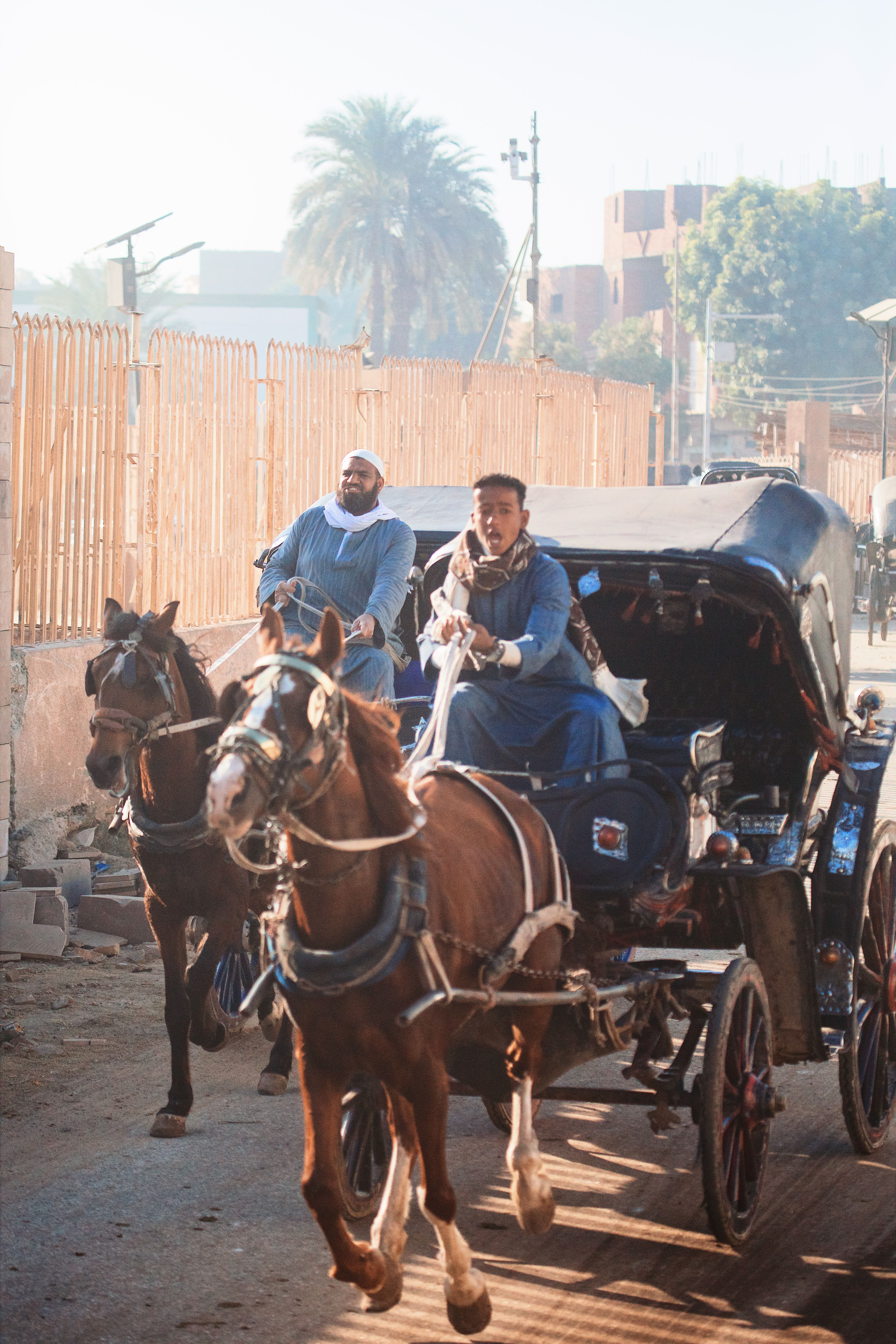 Two men riding in a horse drawn carriage · Free Stock Photo