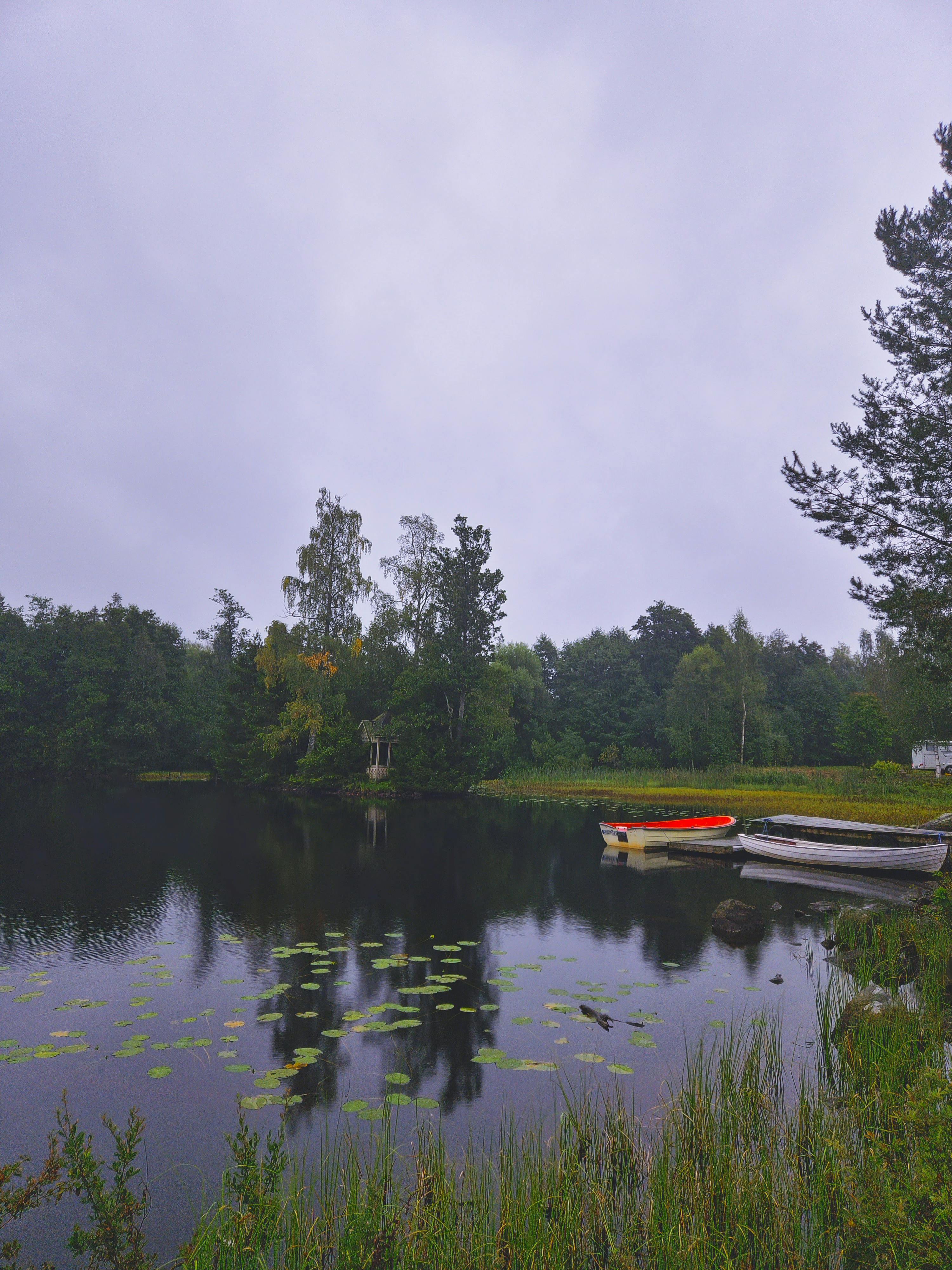 Rain Clouds over Lake · Free Stock Photo