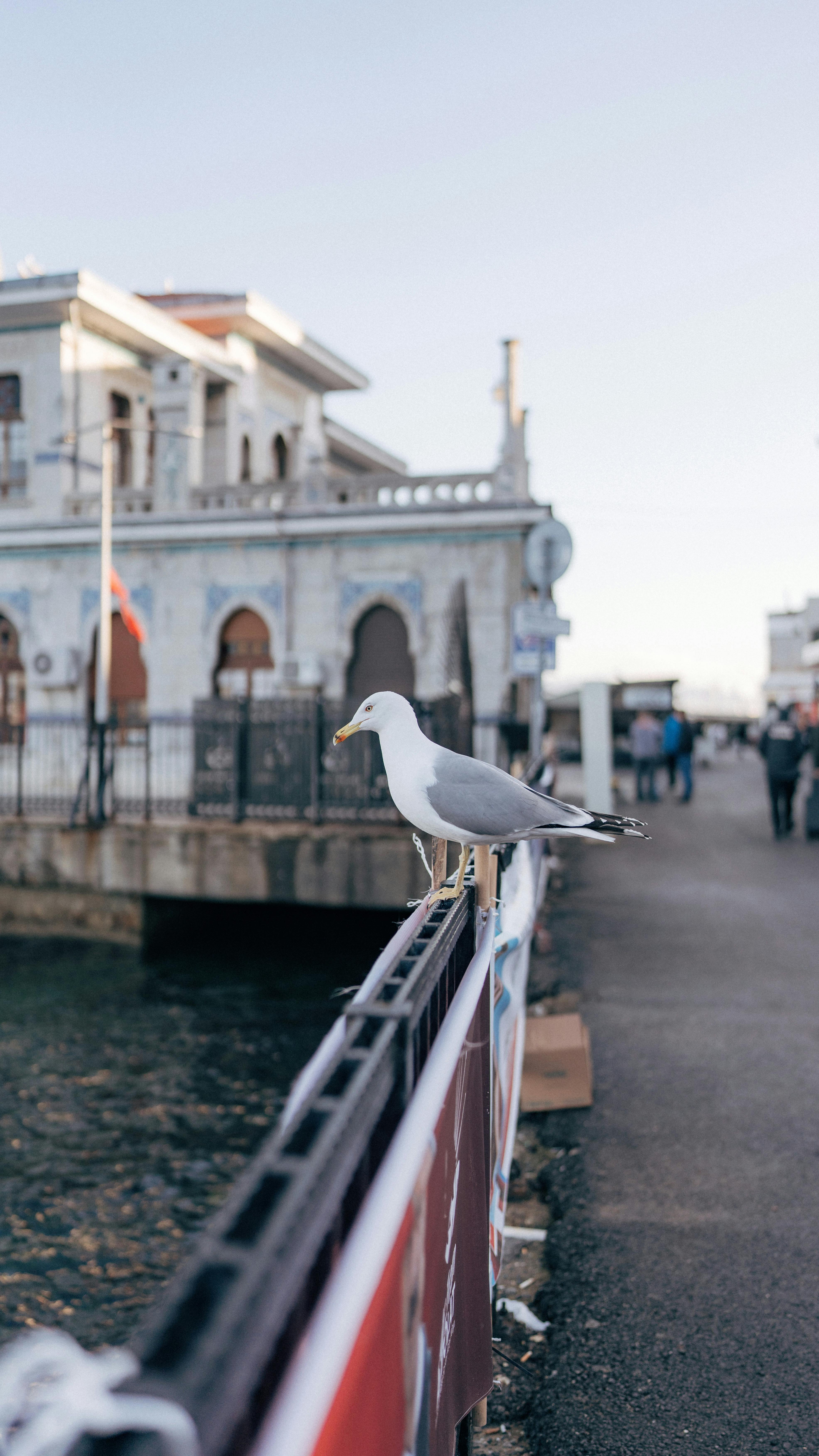 Braille Terminal Photos, Download The BEST Free Braille Terminal Stock ...