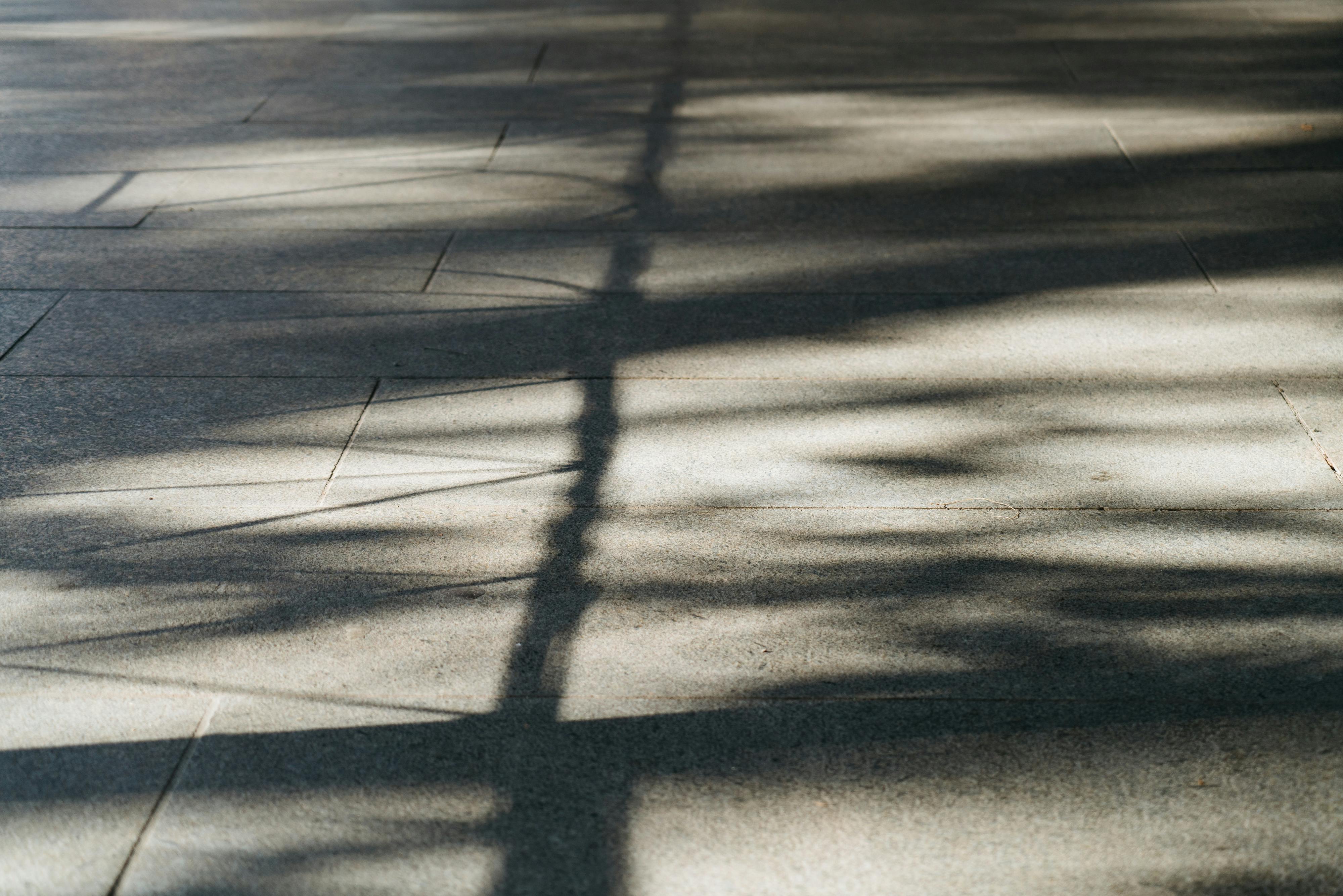 Shadows on Pavement · Free Stock Photo