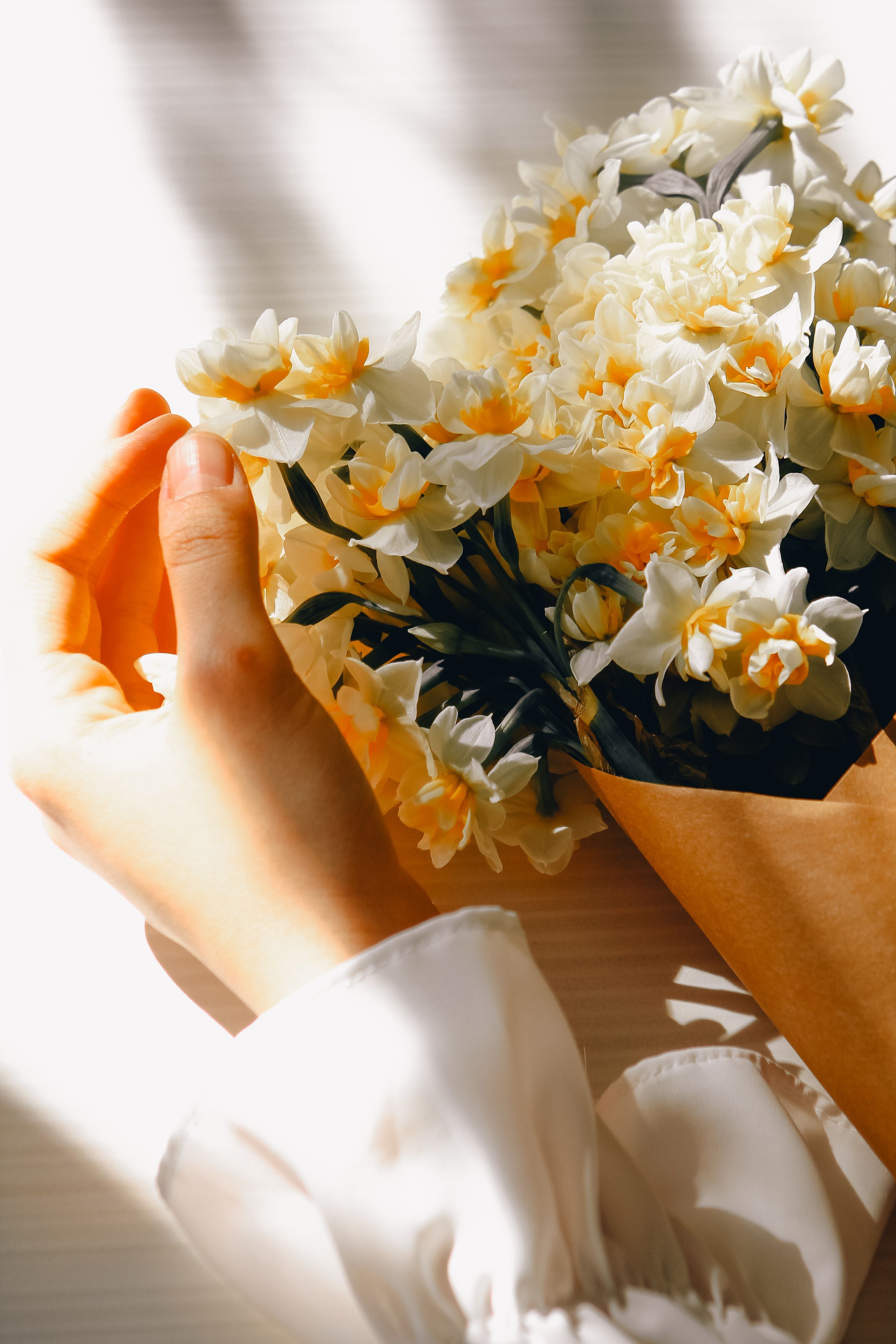 Photo of Person's Hand Holding Yellow Flowers · Free Stock Photo