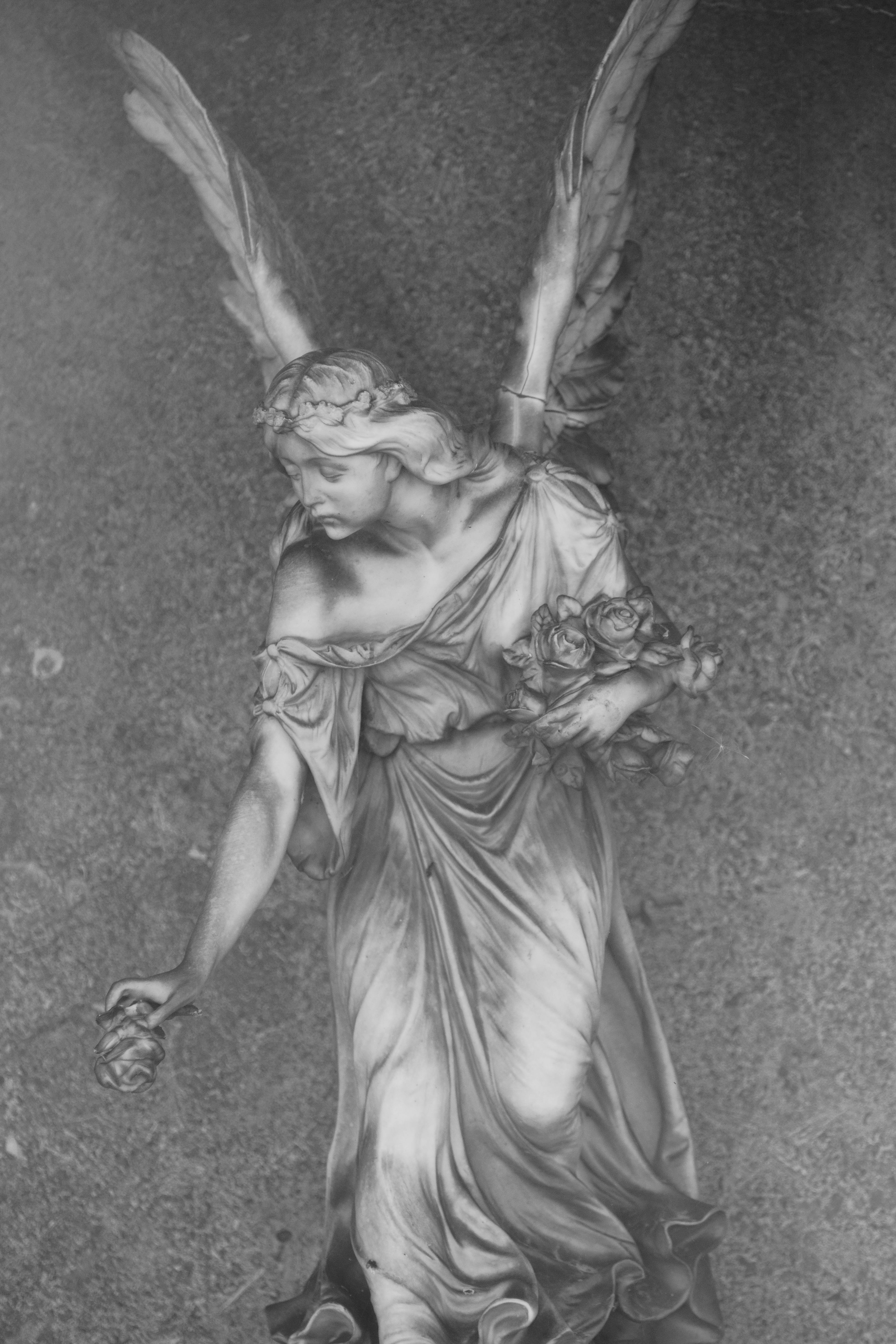 Close-up of an Angel Statue · Free Stock Photo