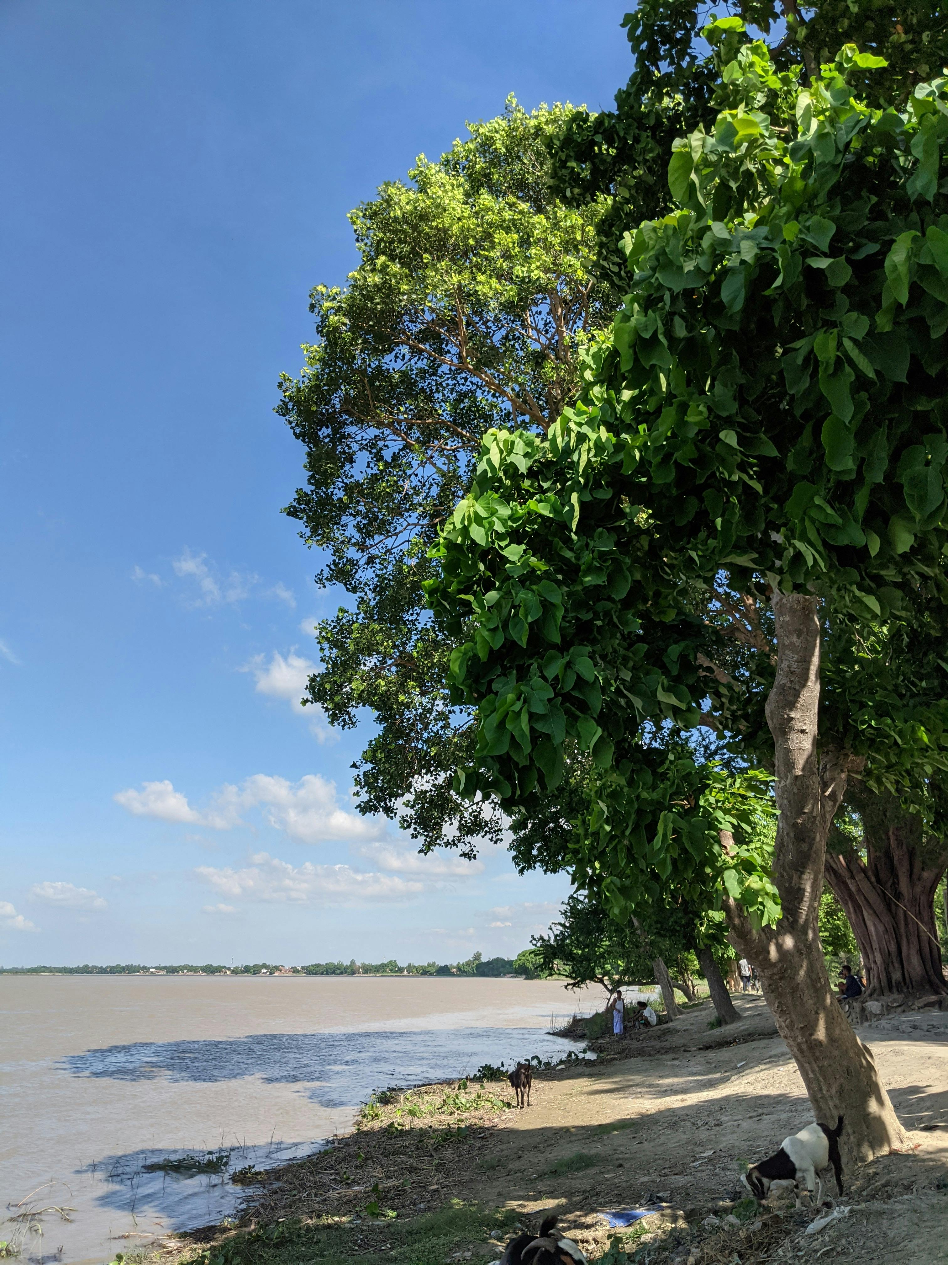 Tanda Bendera Photos, Download The BEST Free Tanda Bendera Stock Photos ...