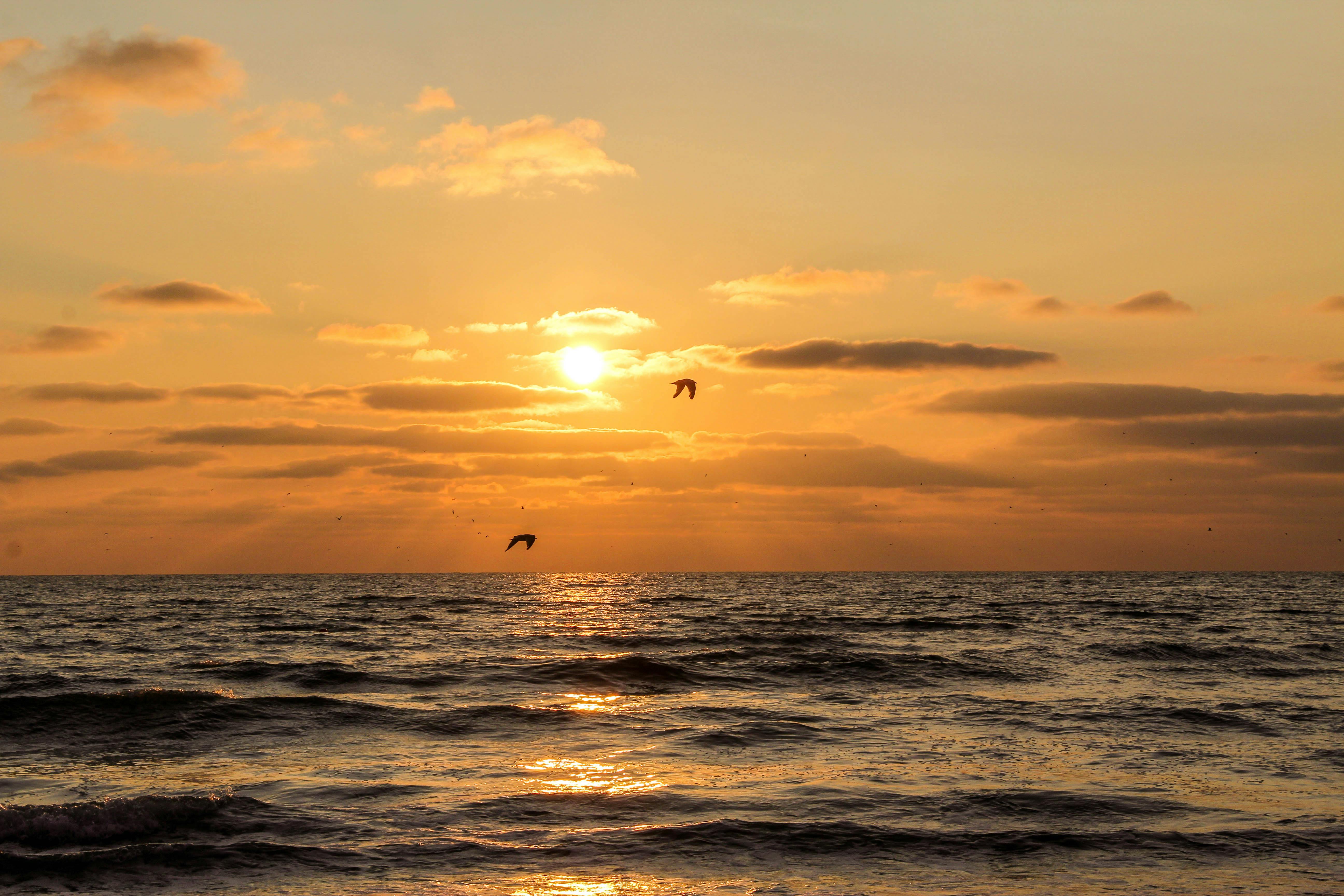 sea 12 Photos & Videos Collected by Ruben Boekeloo