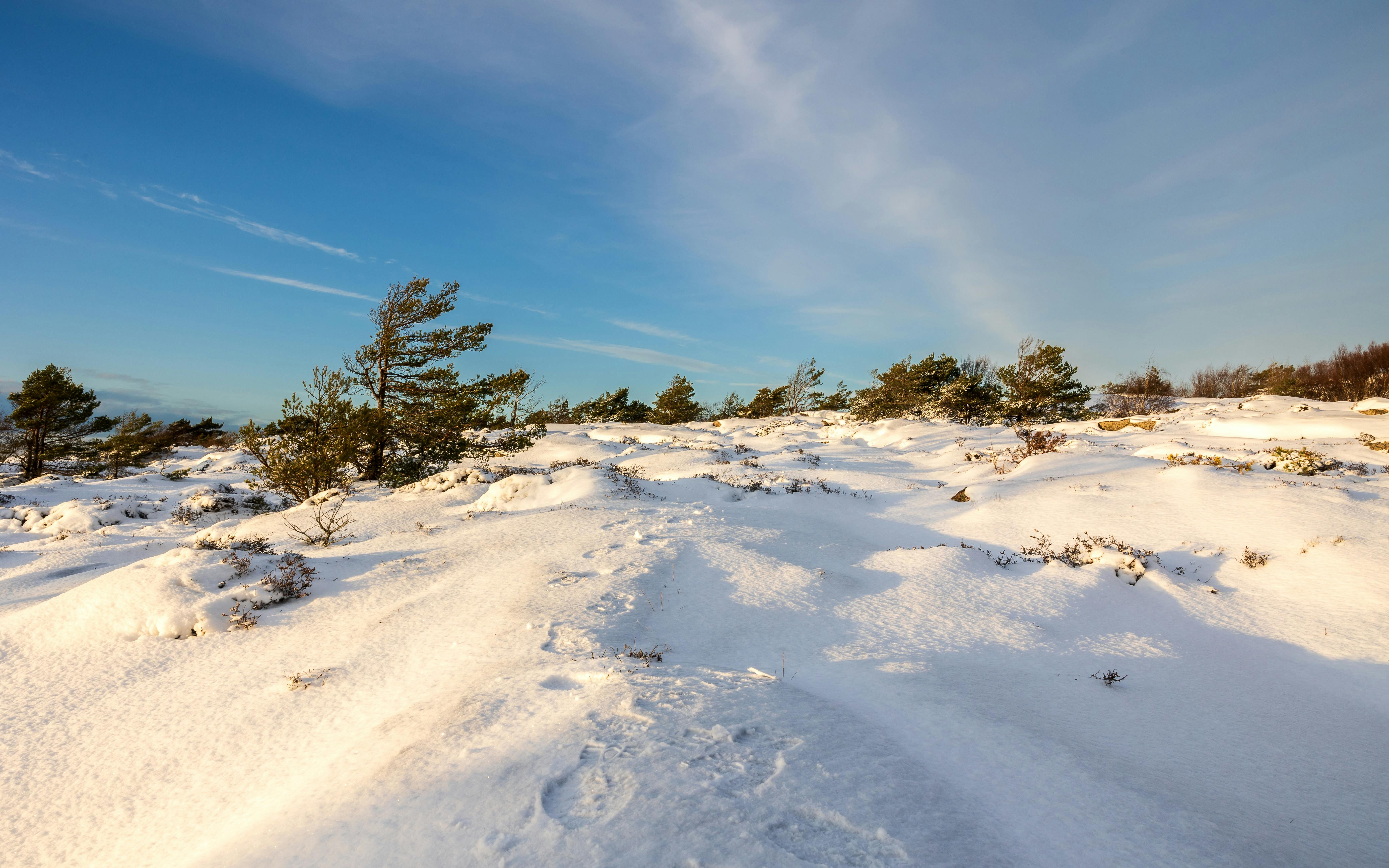 Ulle Haddock - 사진