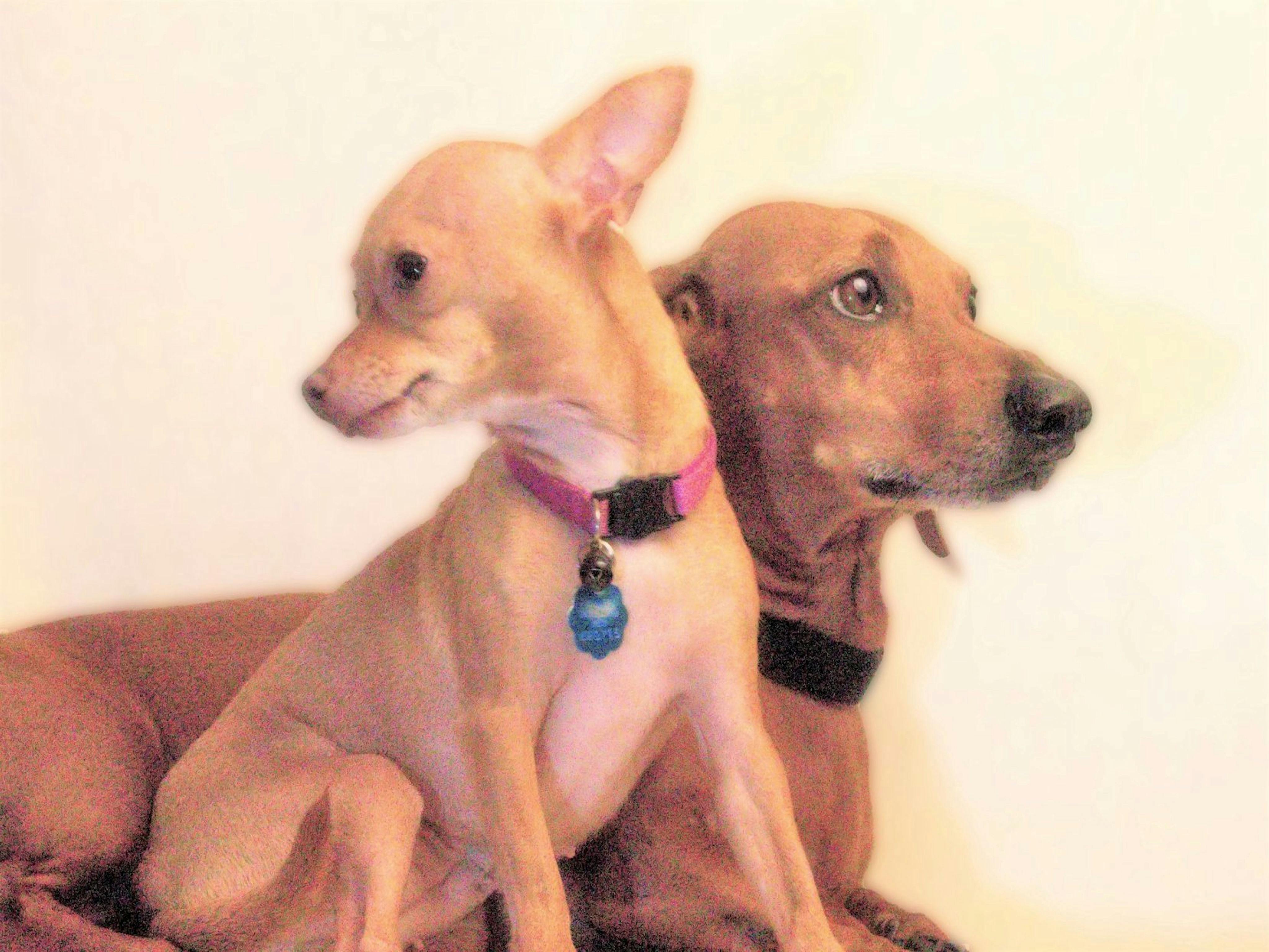 Marcus Goodman - Photography