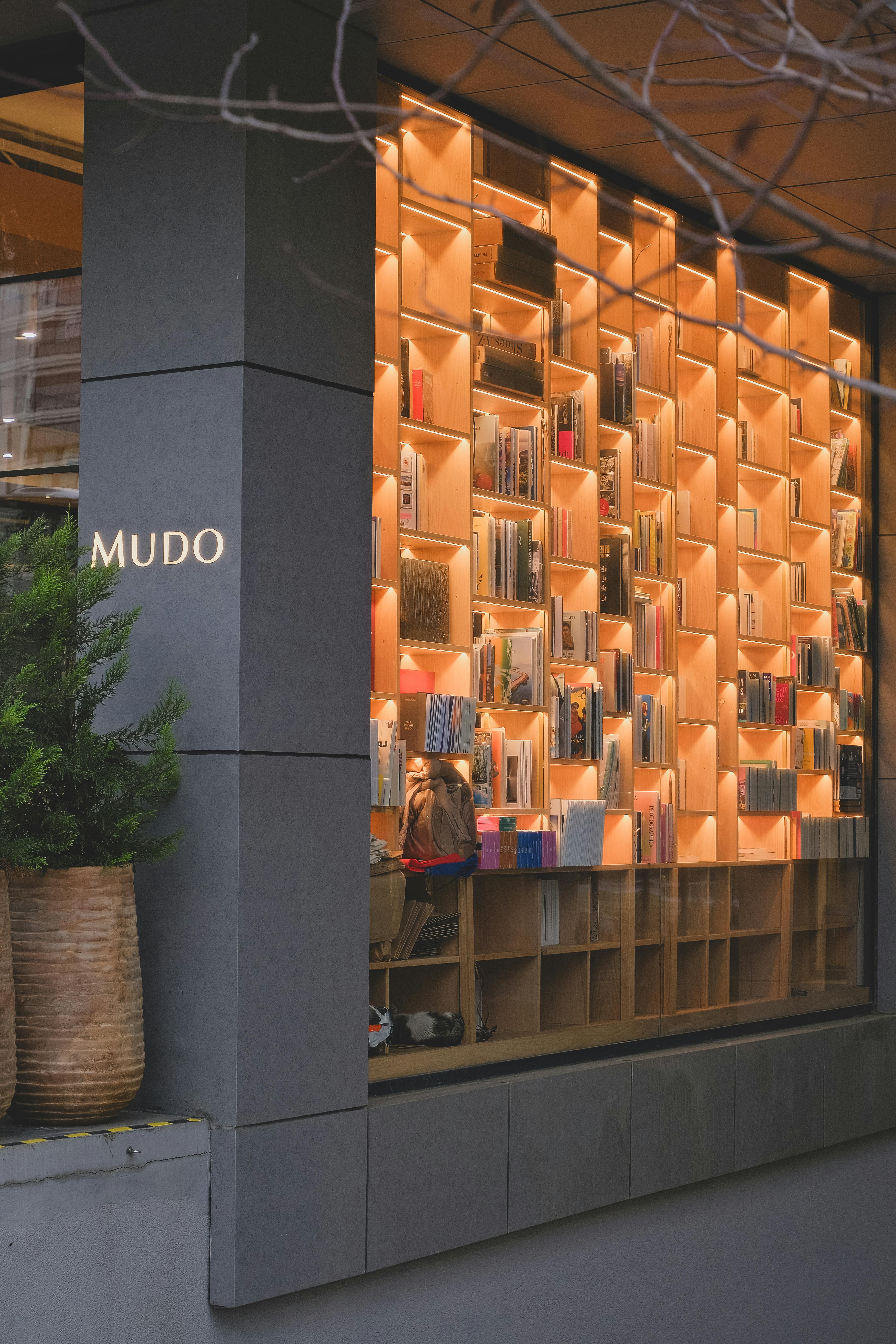 Kelapa Mudo Photos, Download The BEST Free Kelapa Mudo Stock Photos ...