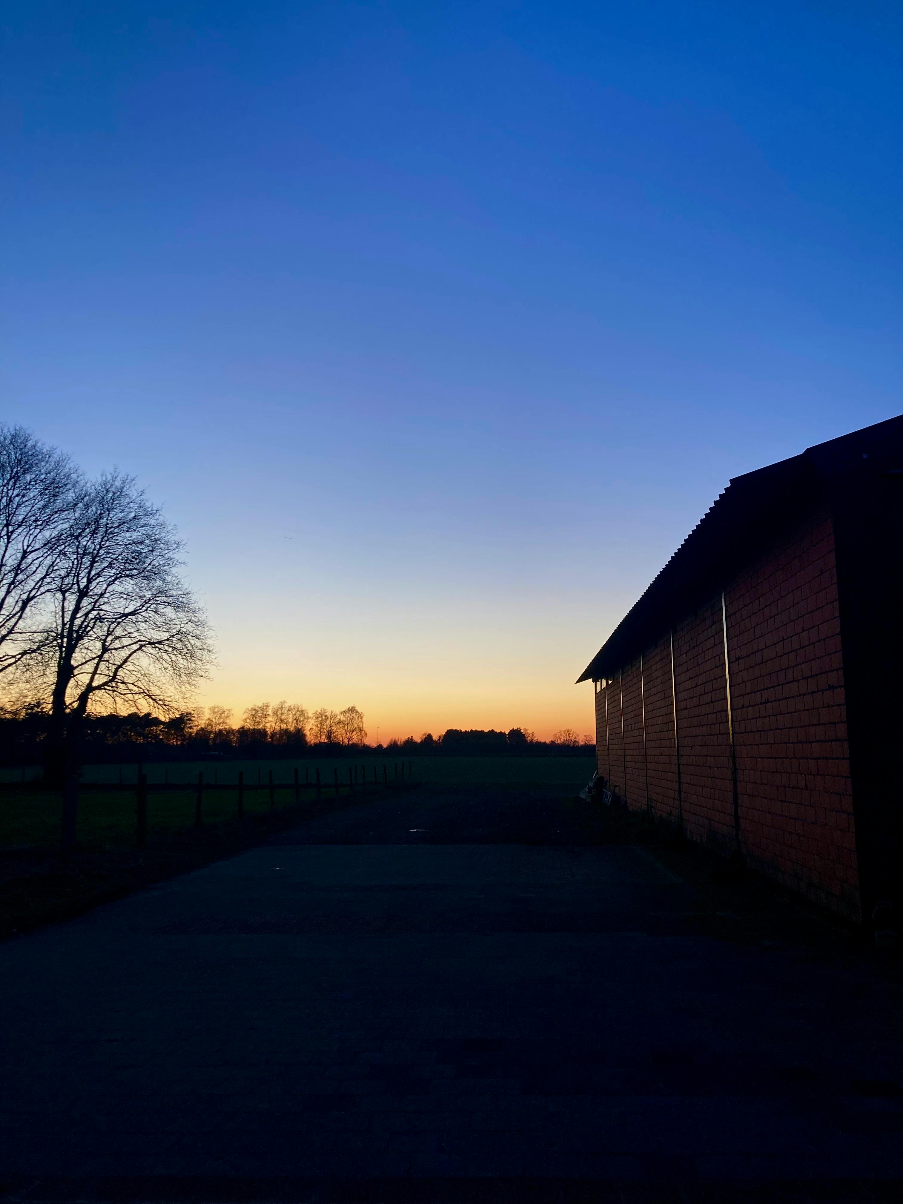 Katoo Roofthooft - Fotografía