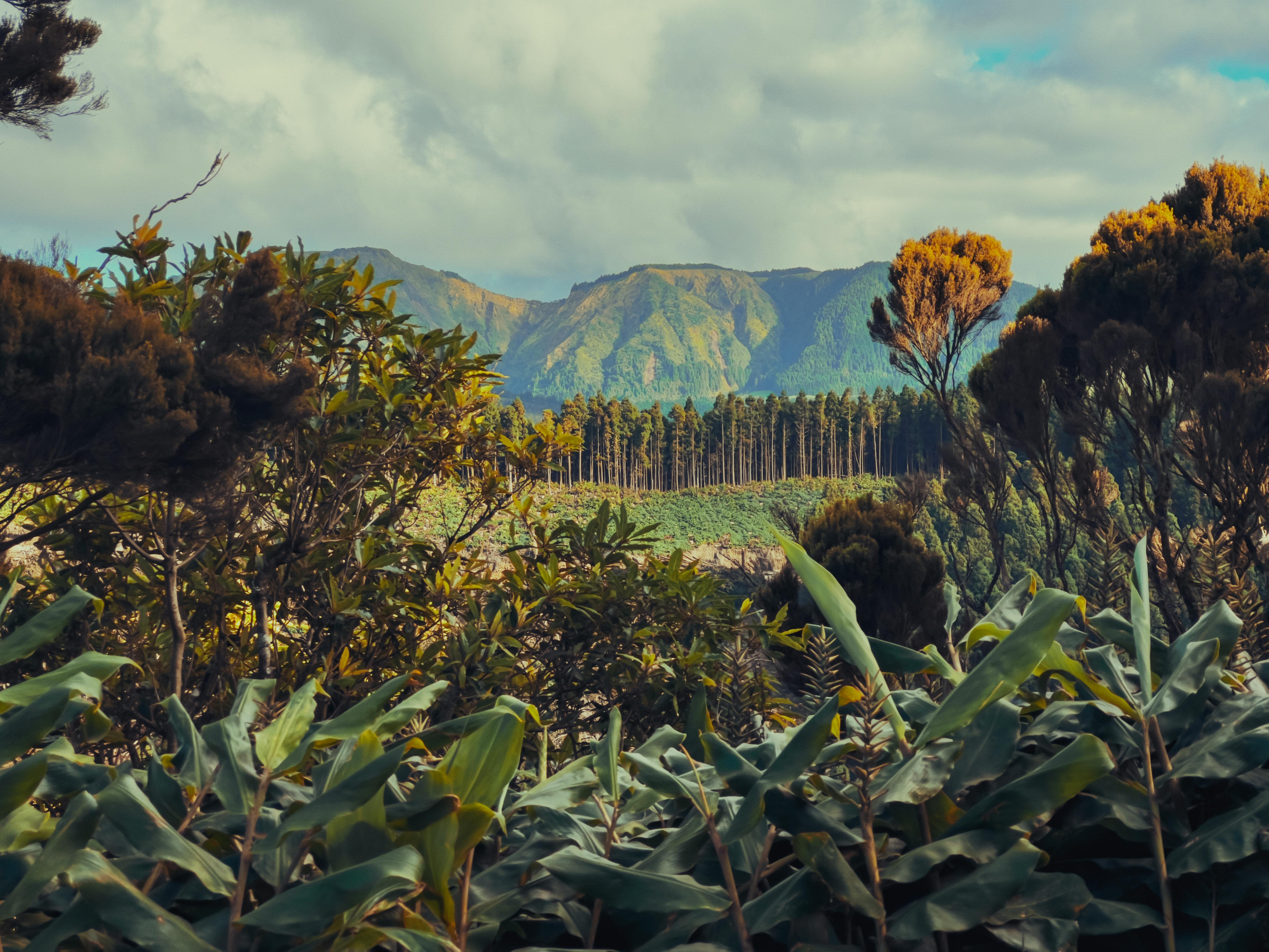 Duncan Light - การถ่ายภาพ