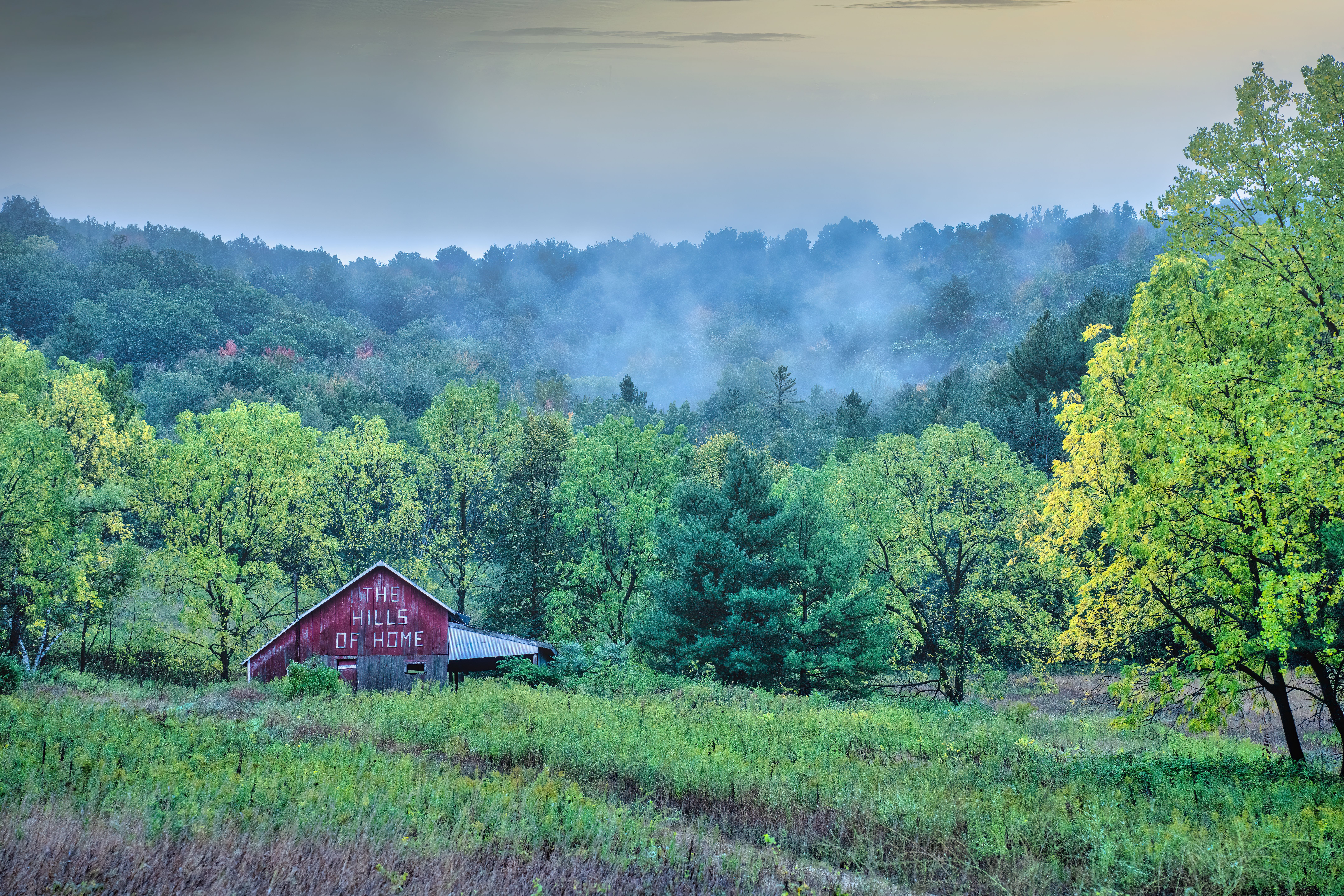Barn in the Middle of the Forest · Free Stock Photo