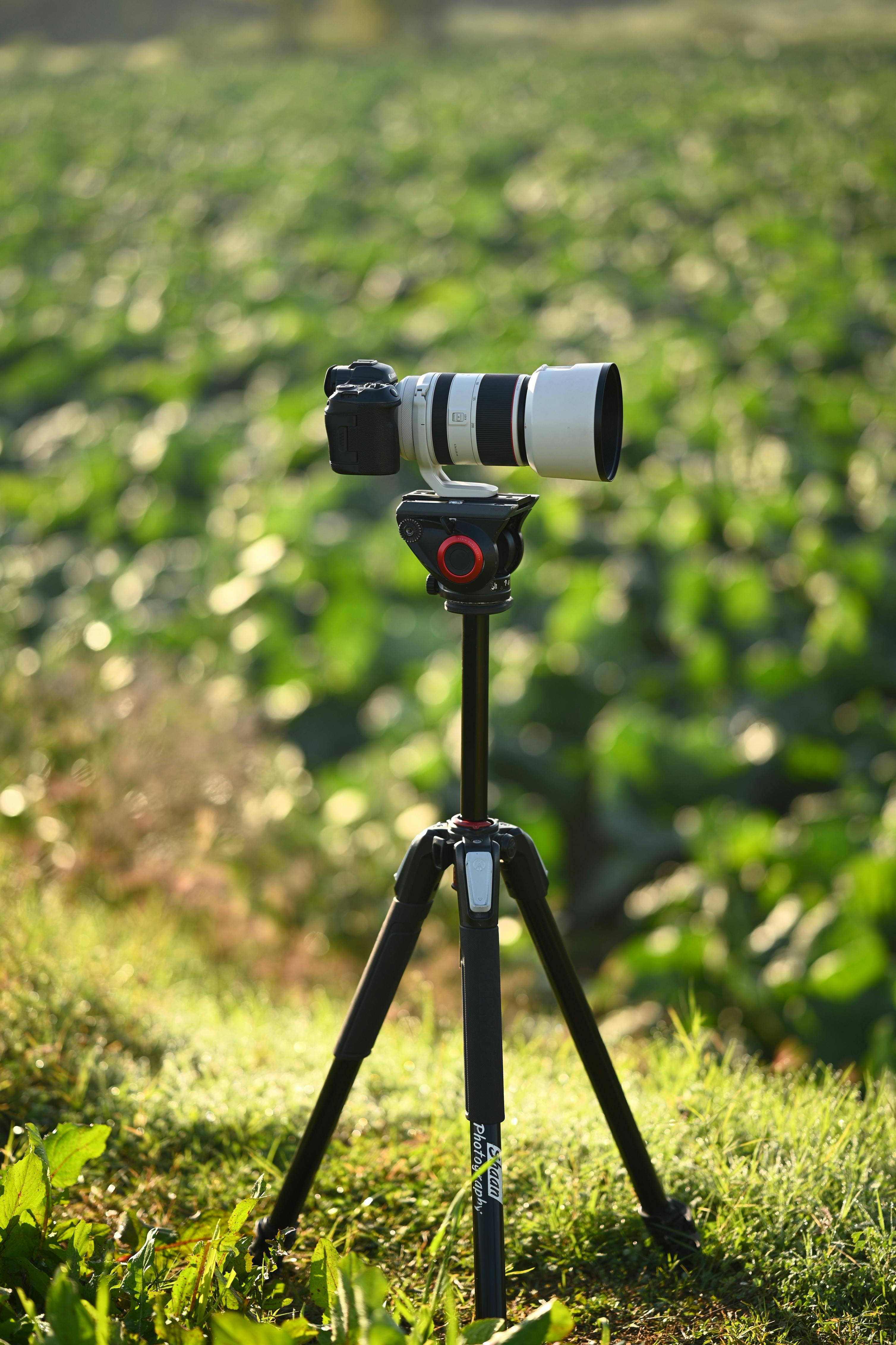 Digital Camera on Tripod · Free Stock Photo