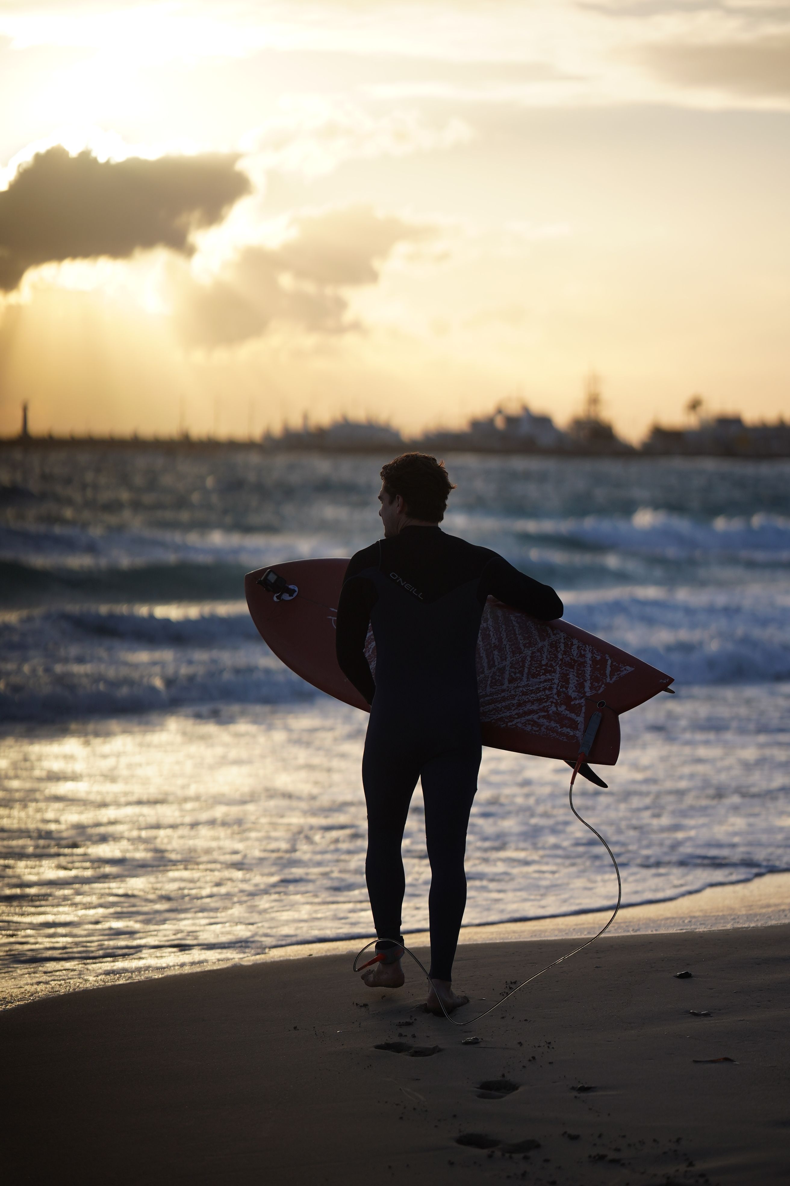 Back View of Surfer on Beach · Free Stock Photo