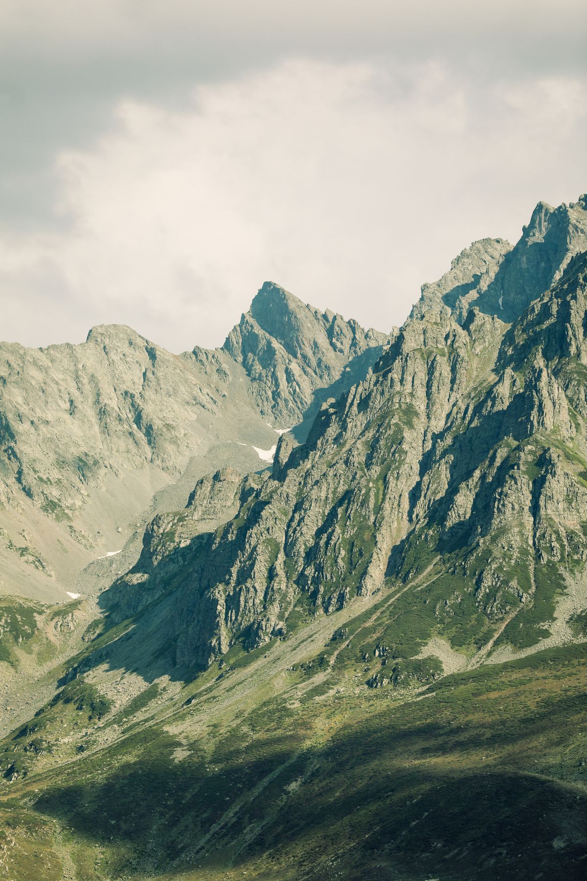 Summer Nature Photos, Download The BEST Free Summer Nature Stock Photos ...