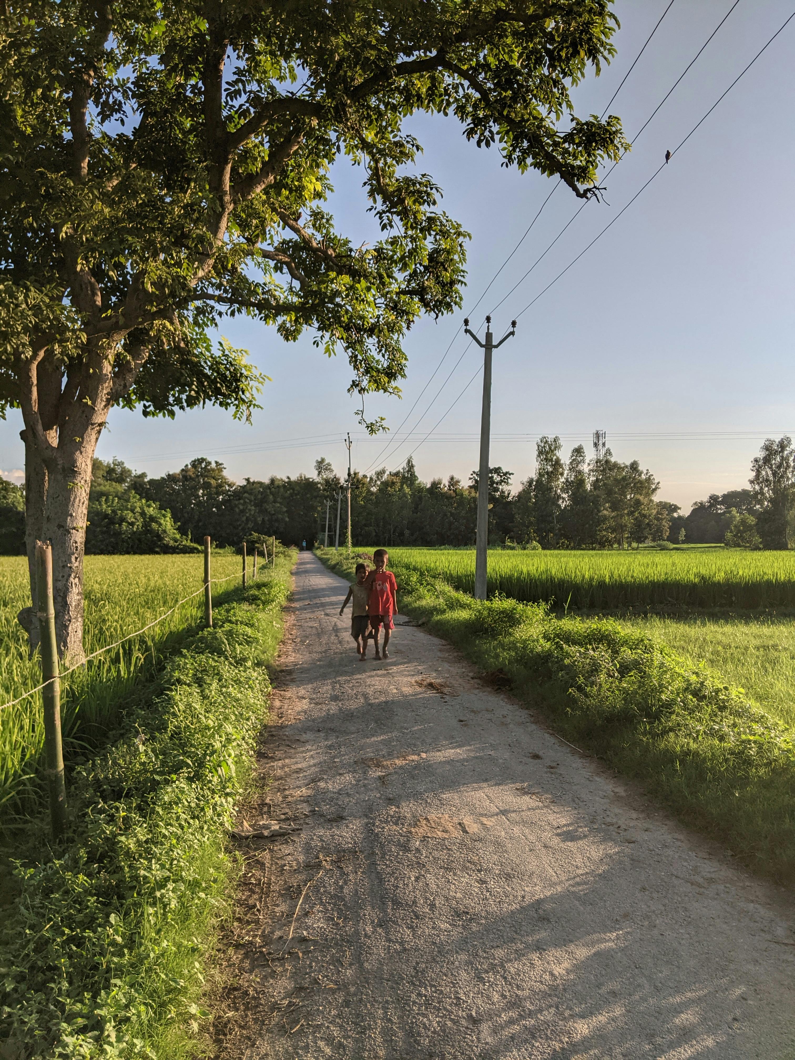 Boys on Rural Road · Free Stock Photo