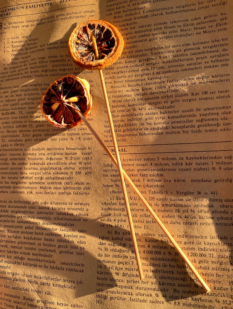 Sticks Photos, Download The BEST Free Sticks Stock Photos & HD Images