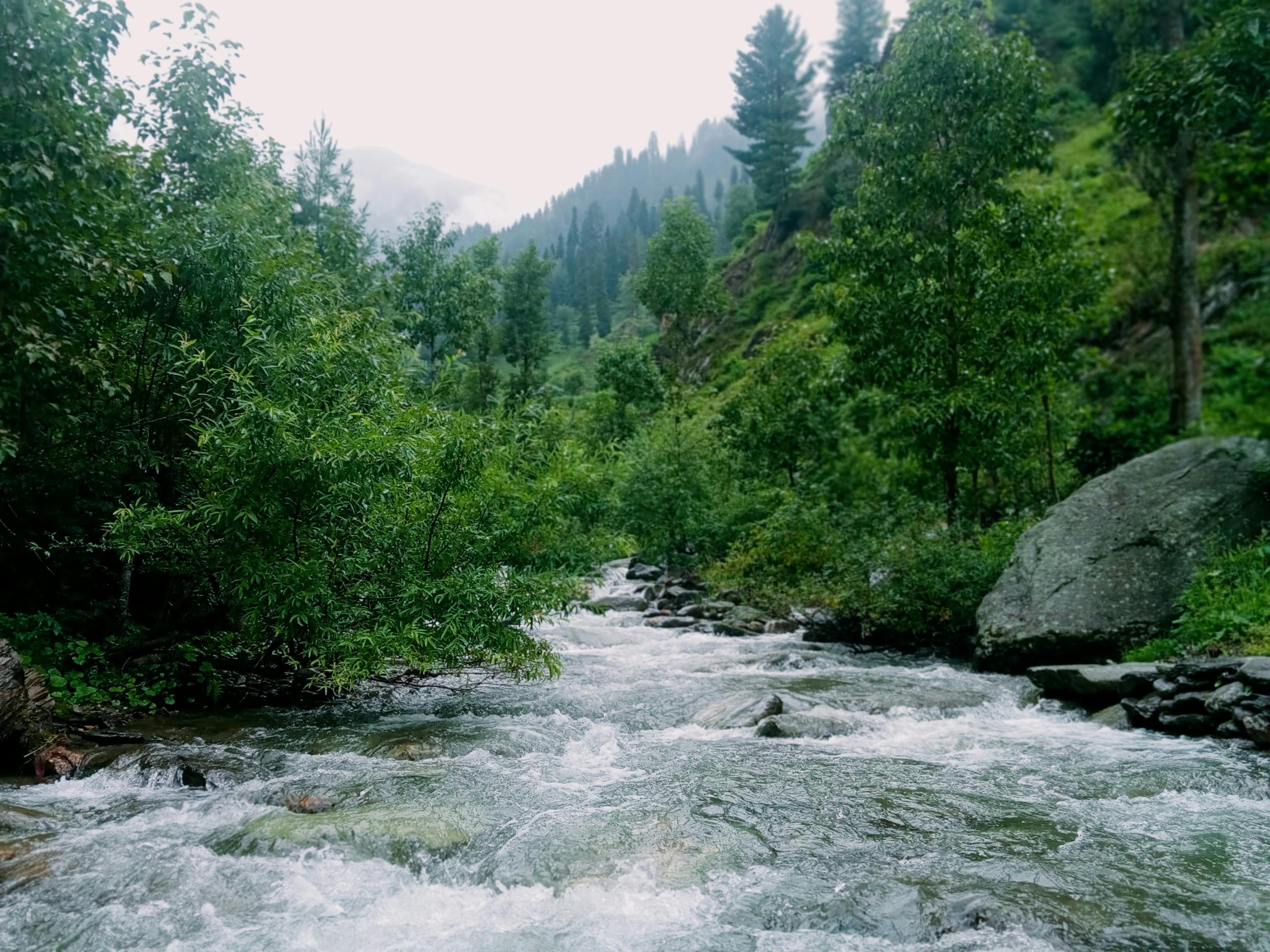 Bank Of River Photos, Download The BEST Free Bank Of River Stock Photos ...