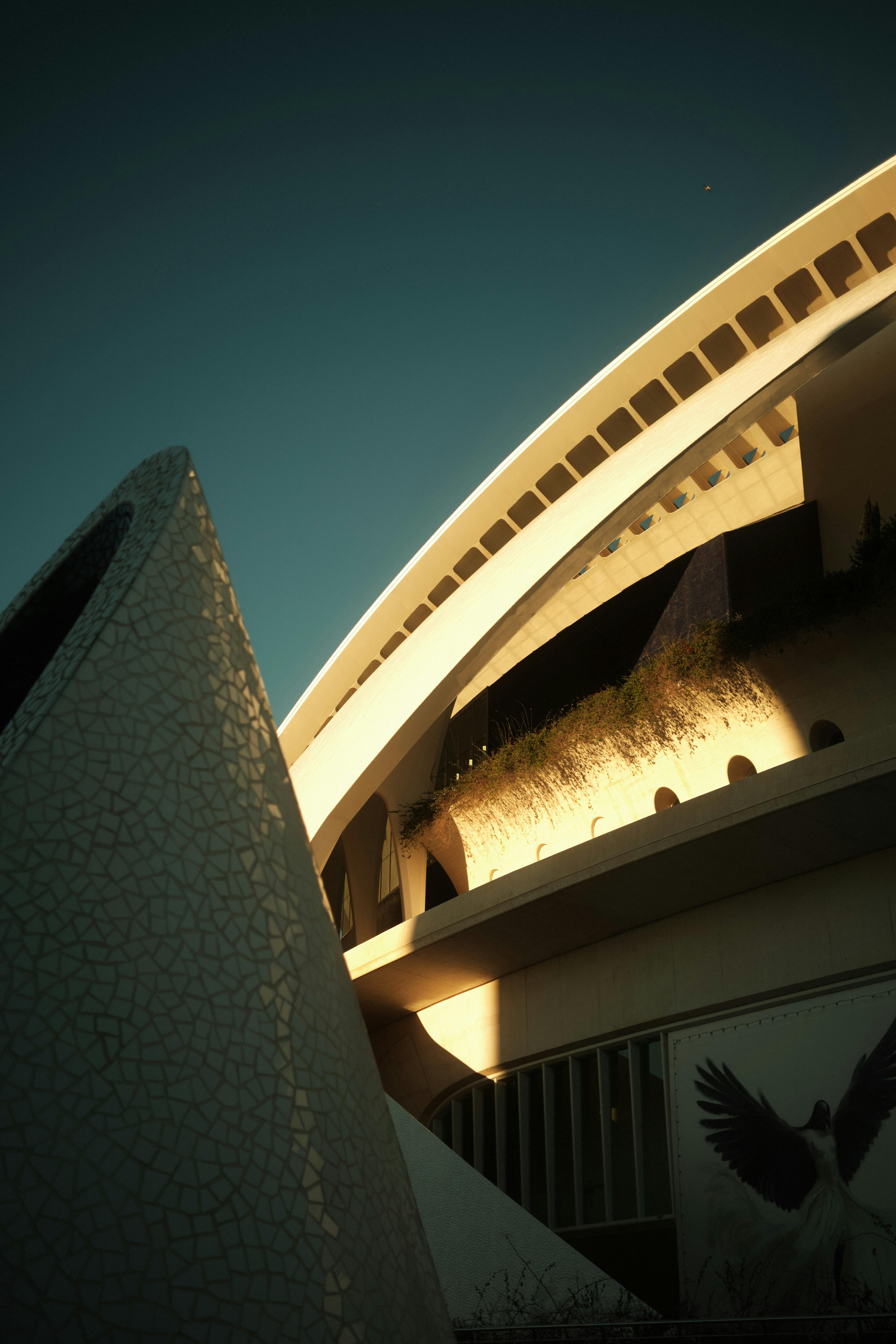 62+ Fotos y Imágenes de Contraluz Gratis · Banco de Fotos Gratis