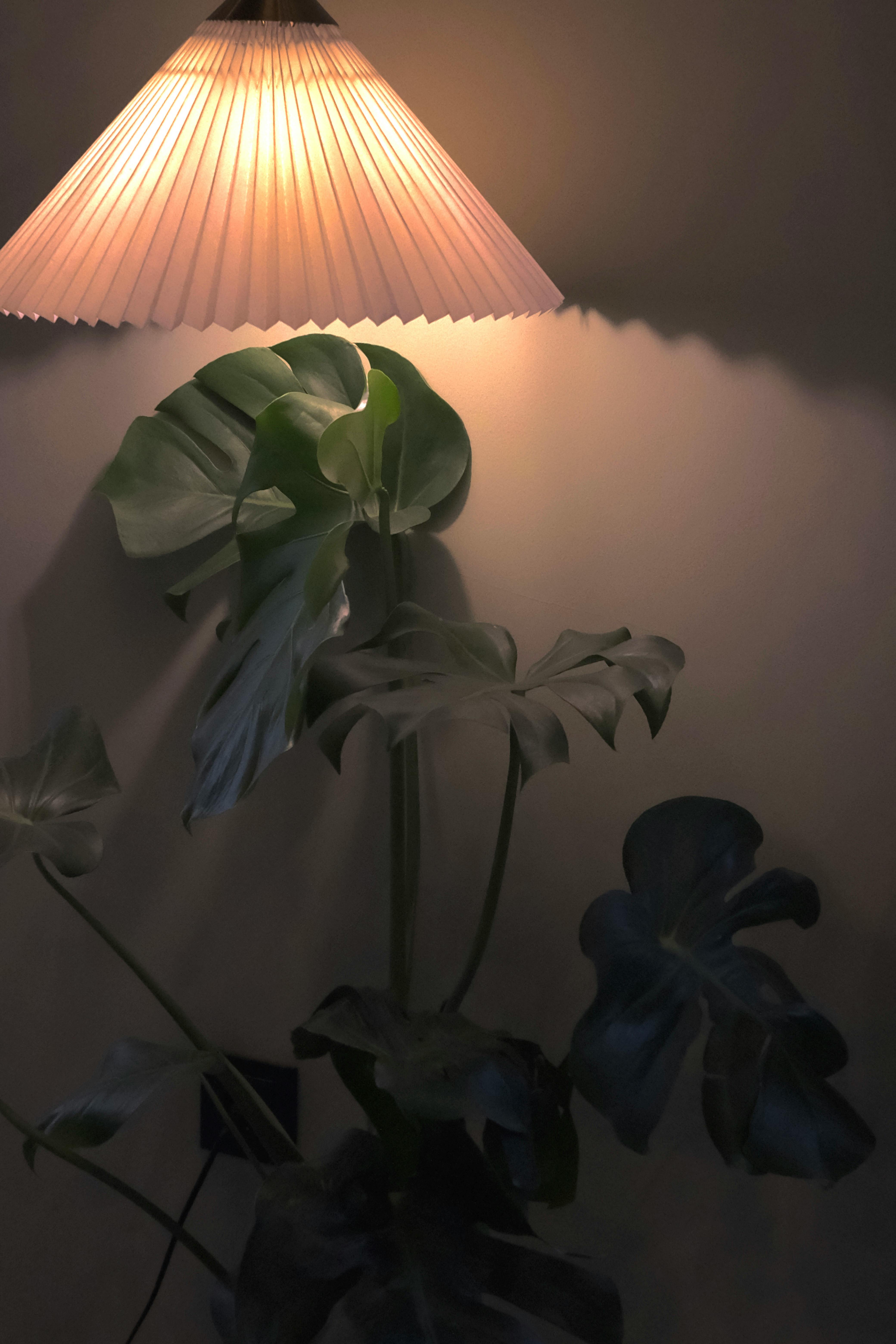 emre tekin - Fotografía