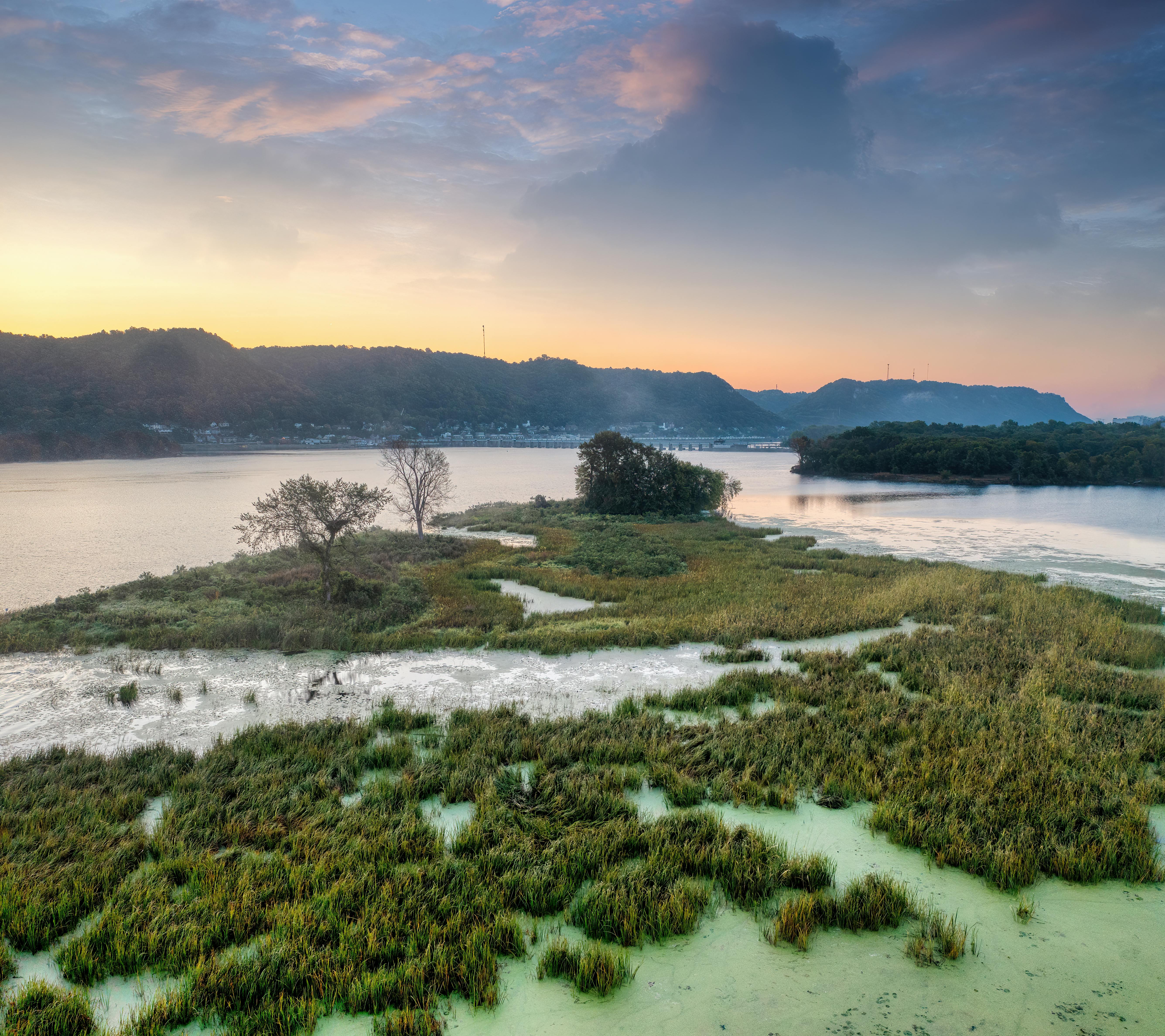 Swamp at Sunset · Free Stock Photo