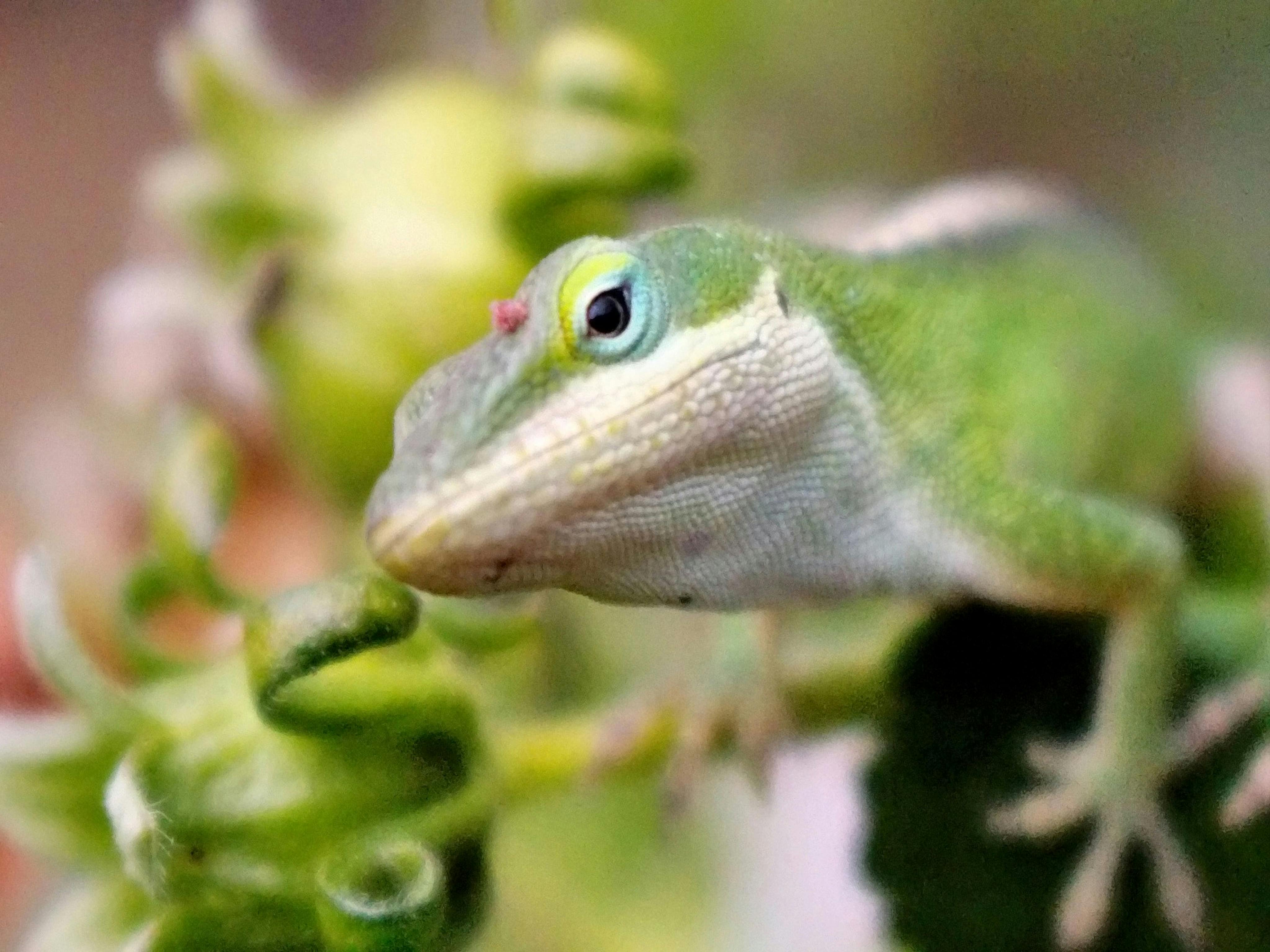 Marcus Goodman - Photography