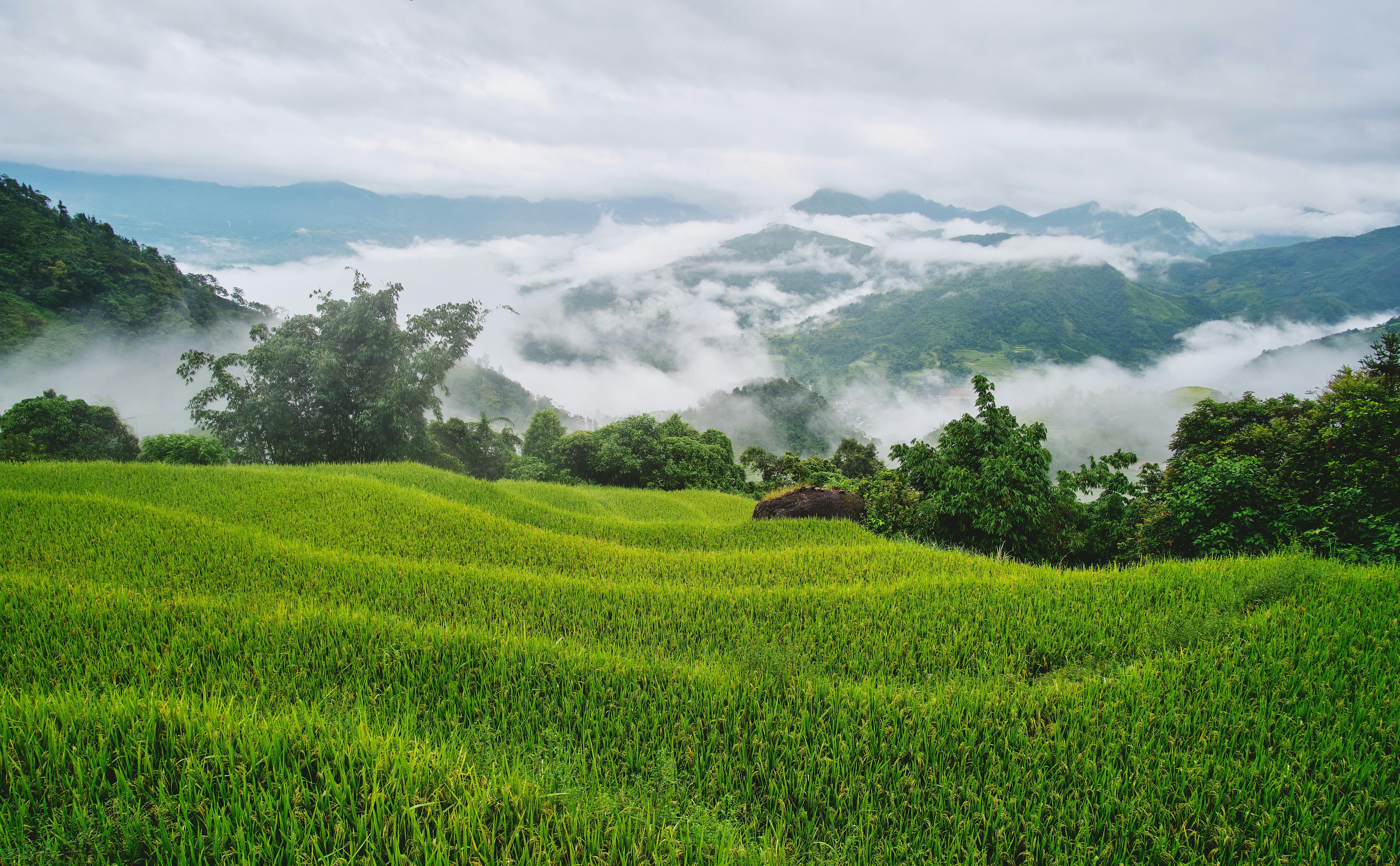 A Field in Mountains · Free Stock Photo