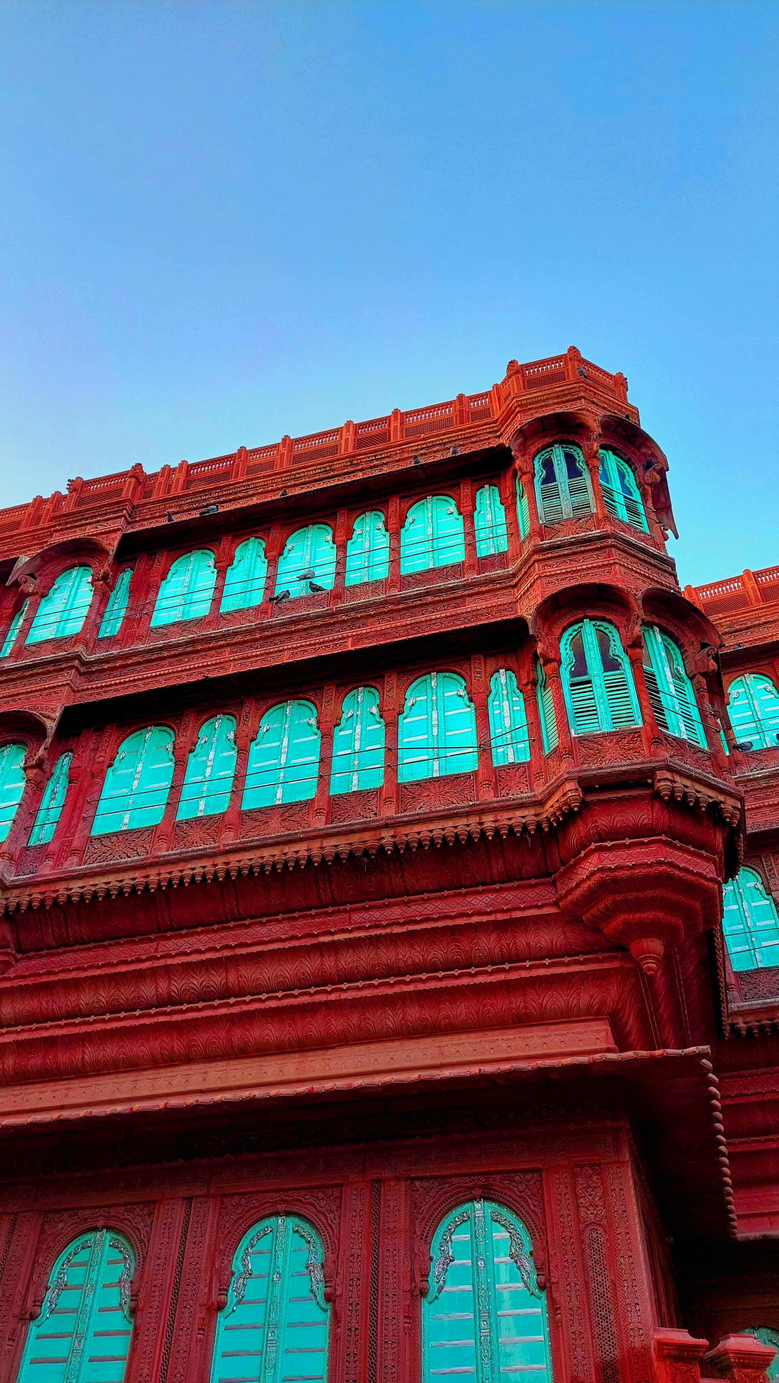 Suvaiba - Photography