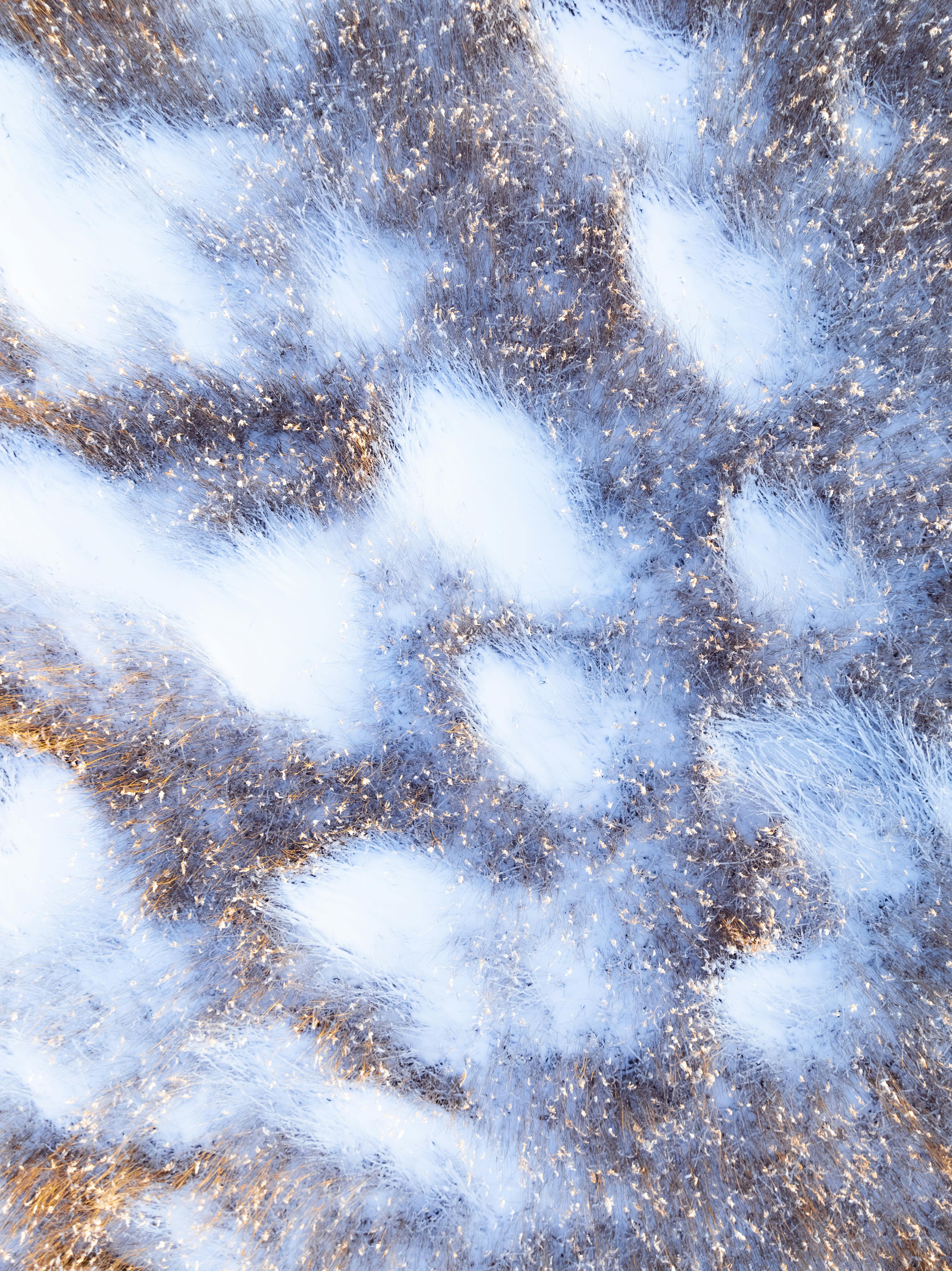 Abstract, White Ice Surface · Free Stock Photo