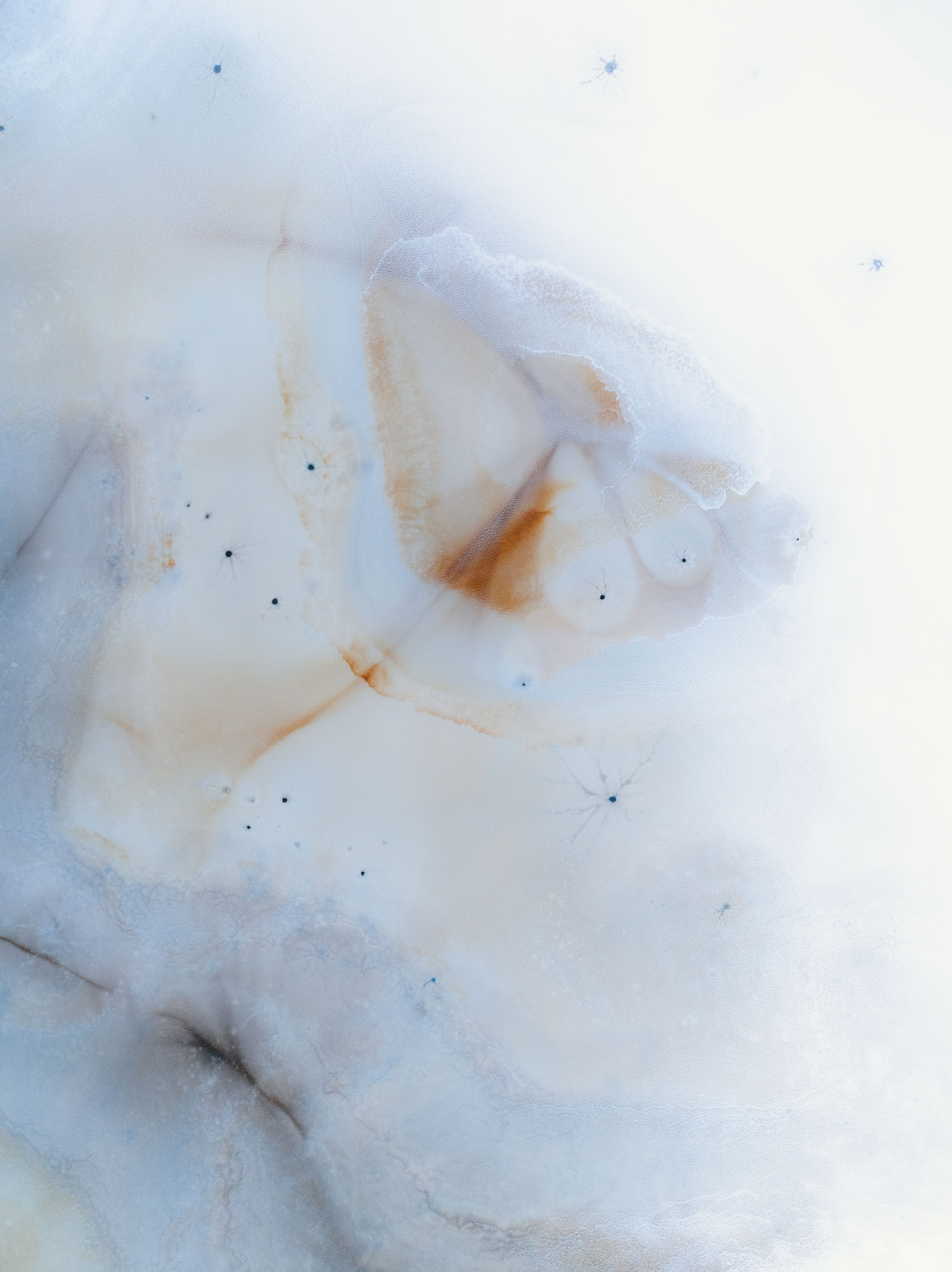 A white marble with blue and white spots · Free Stock Photo