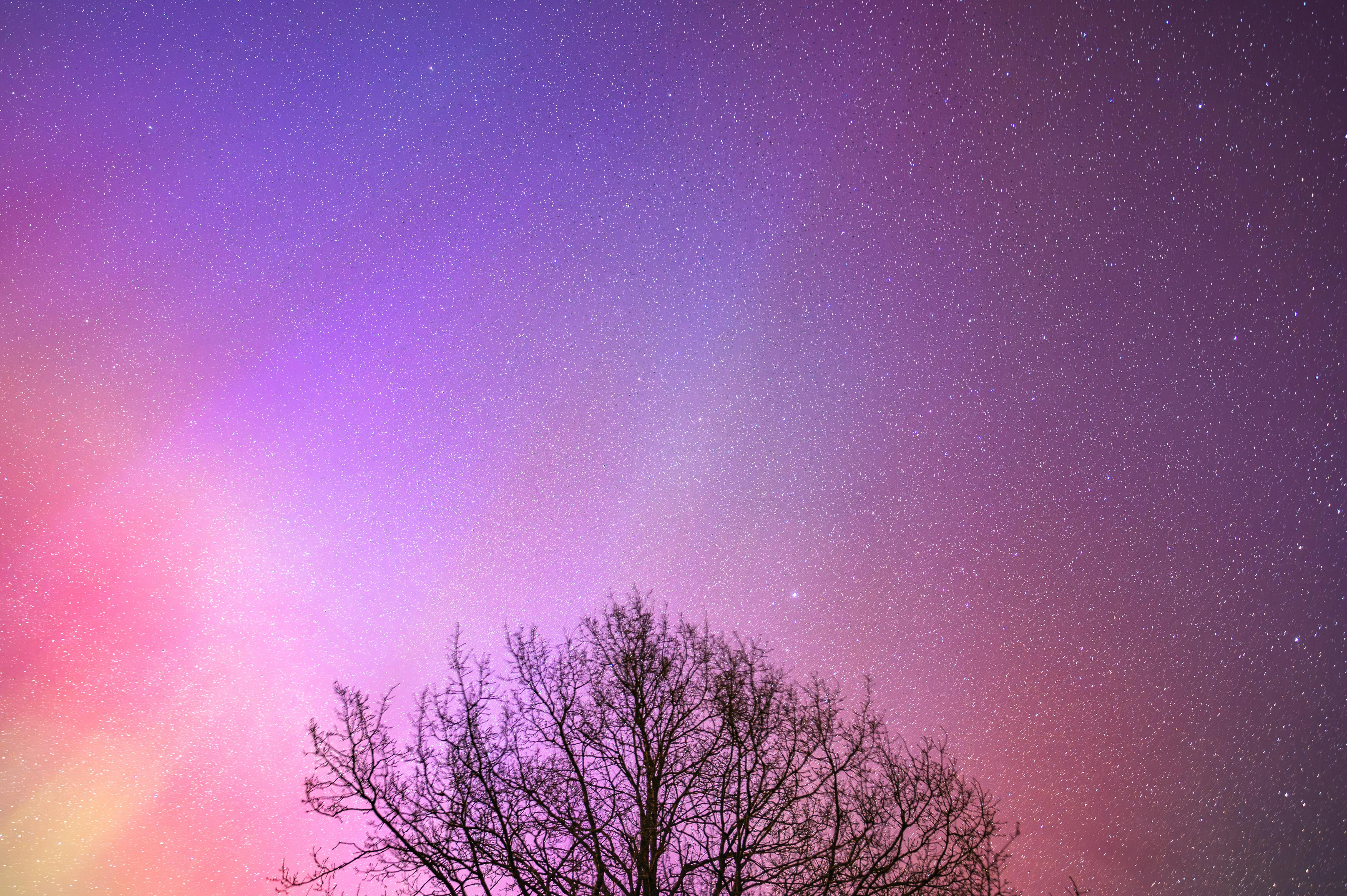 Stars on Purple Sky at Dusk · Free Stock Photo