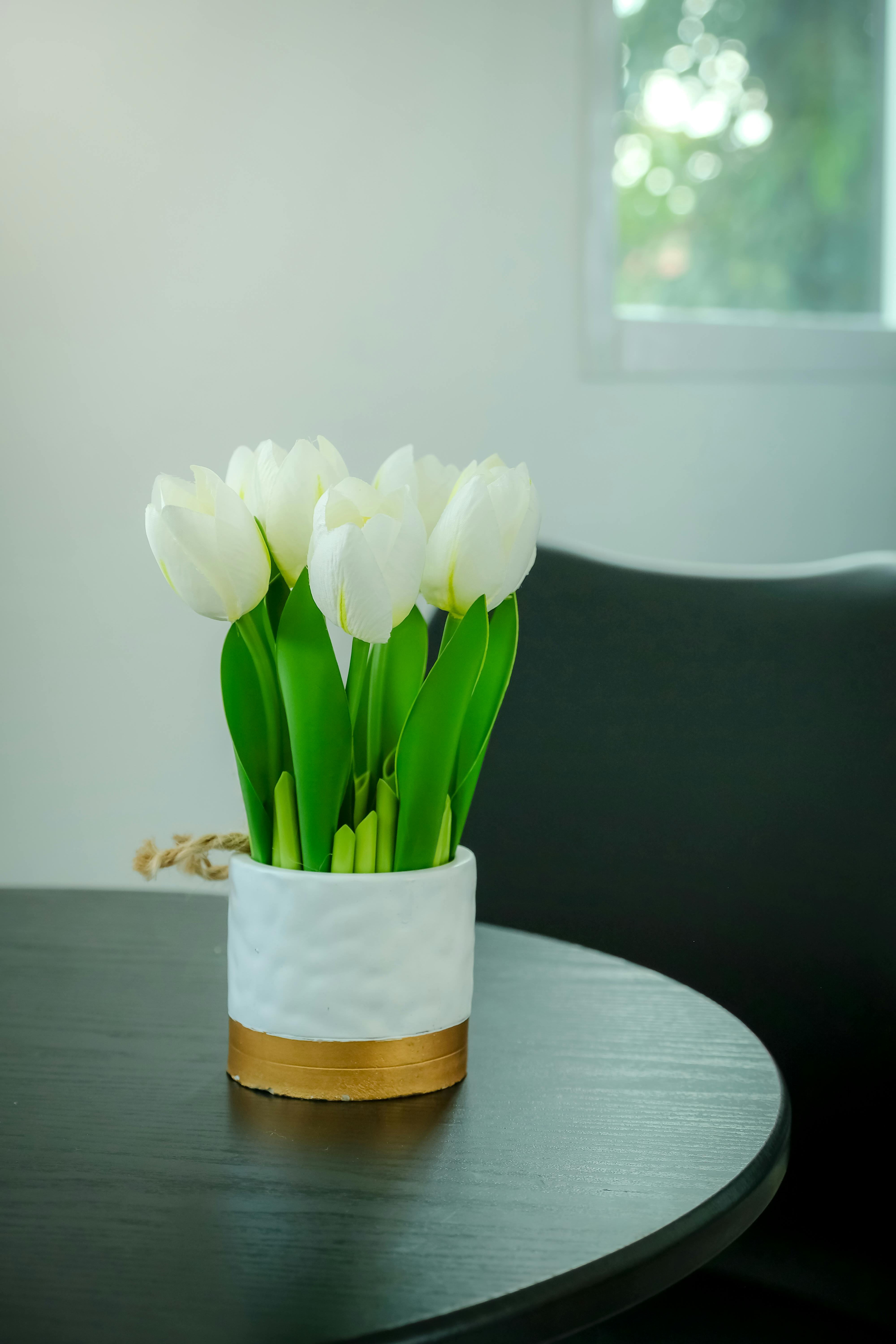 Tulip In Pot Photos, Download The BEST Free Tulip In Pot Stock Photos ...