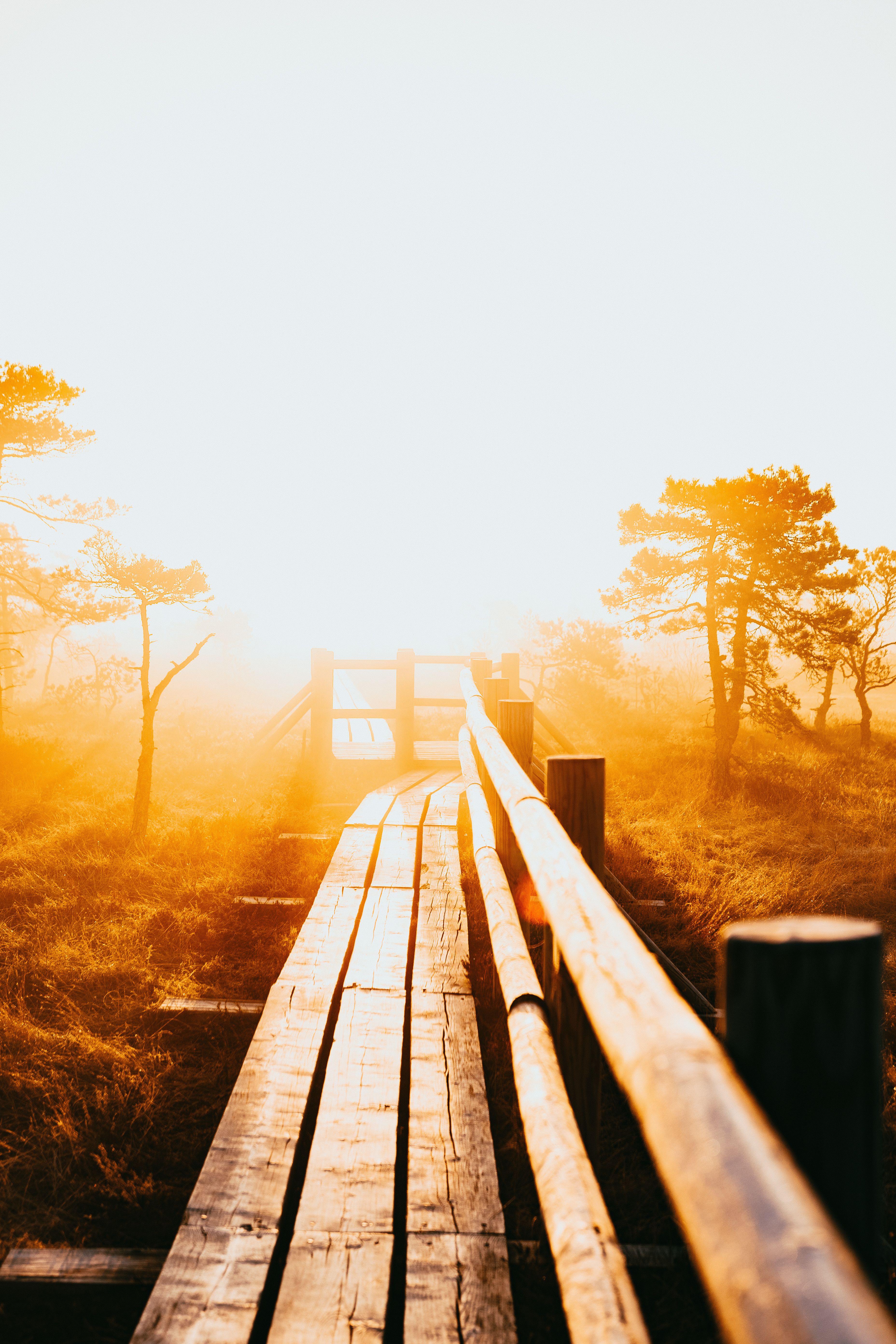 View of a Boardwalk in Bright Sunset Light · Free Stock Photo
