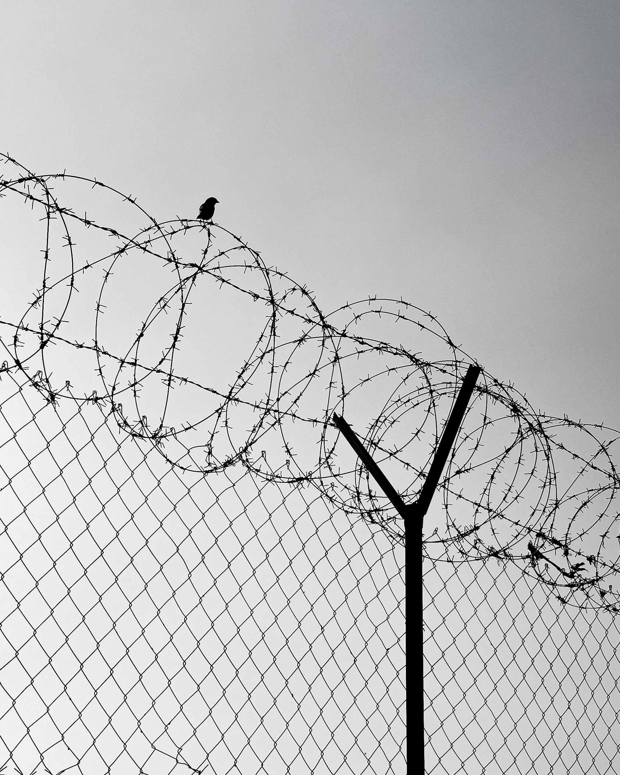 Anguish Photos, Download The BEST Free Anguish Stock Photos & HD Images