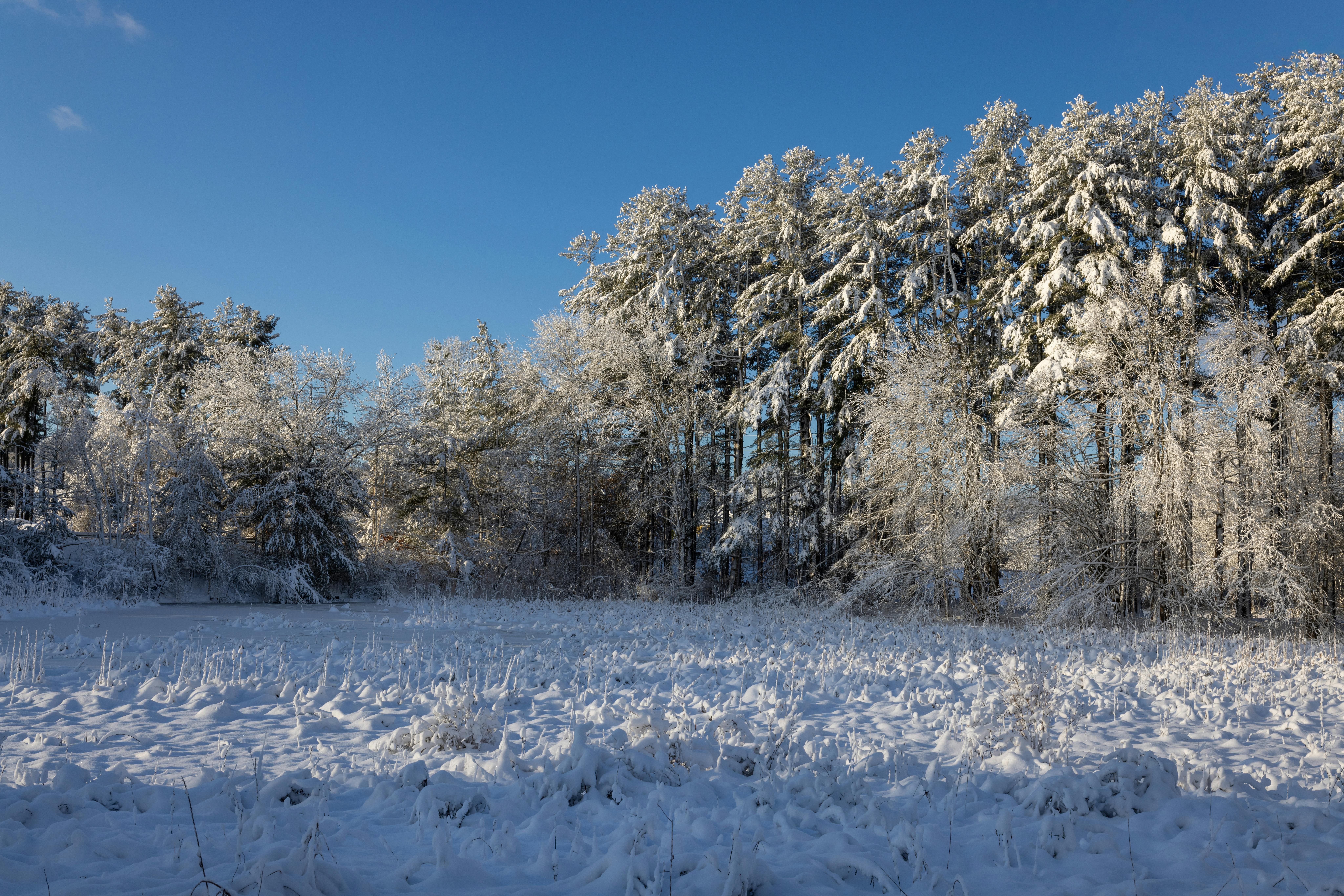 Cold Landscape Photos, Download The BEST Free Cold Landscape Stock ...