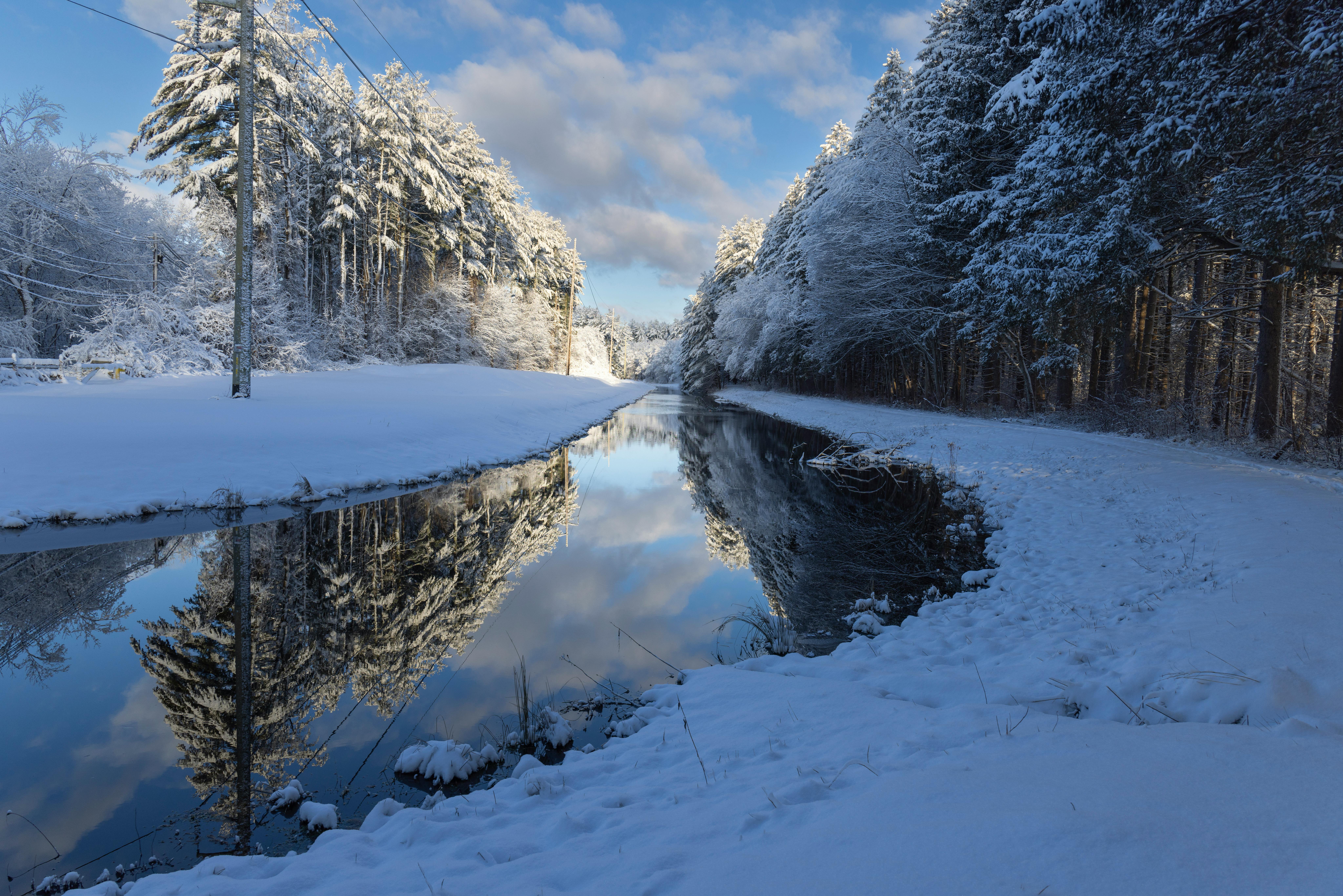 Photo gratuite de amérique du nord, arbres, arbres à feuilles ...