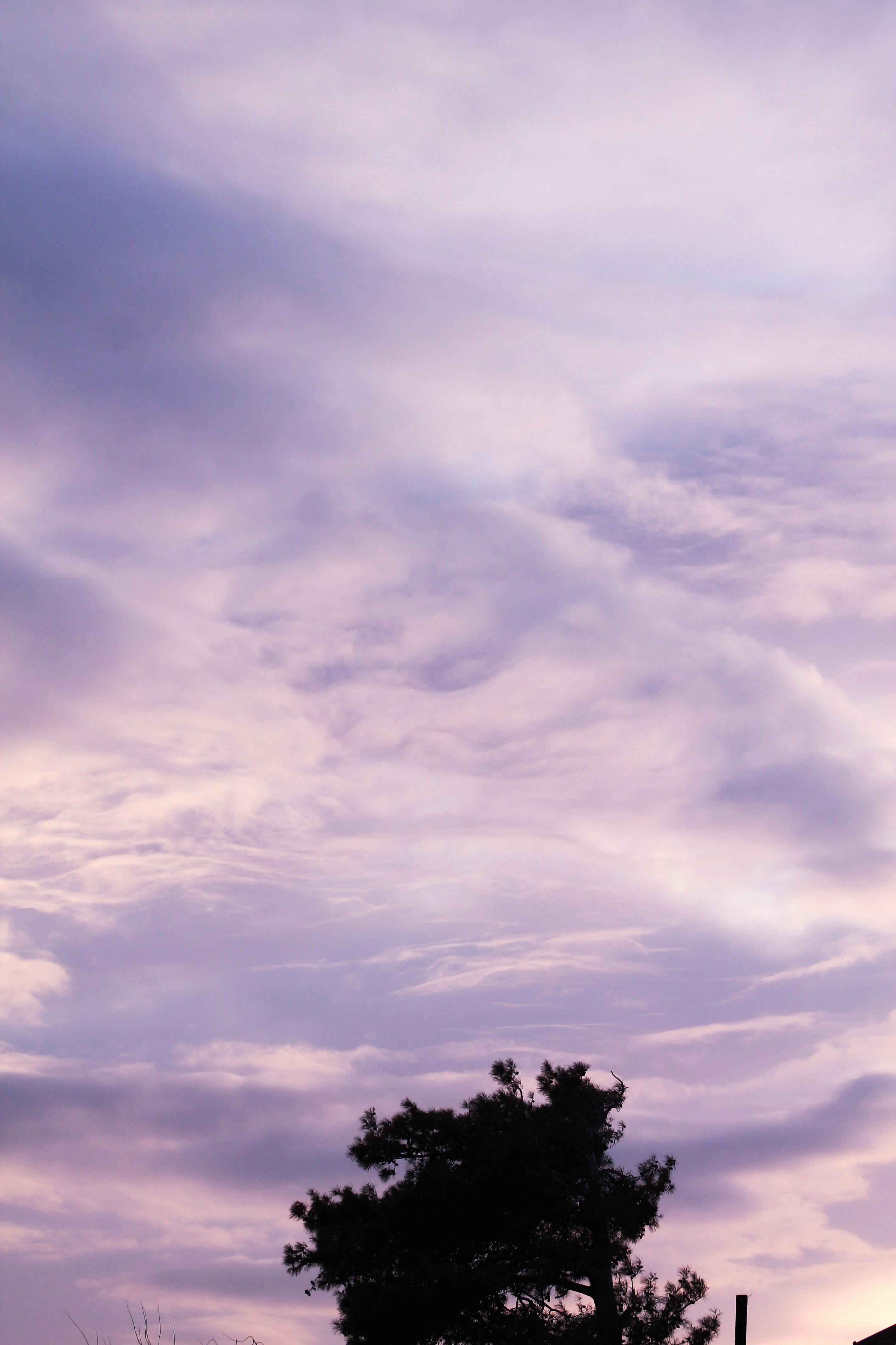 Violet Sky Photos, Download The BEST Free Violet Sky Stock Photos & HD ...