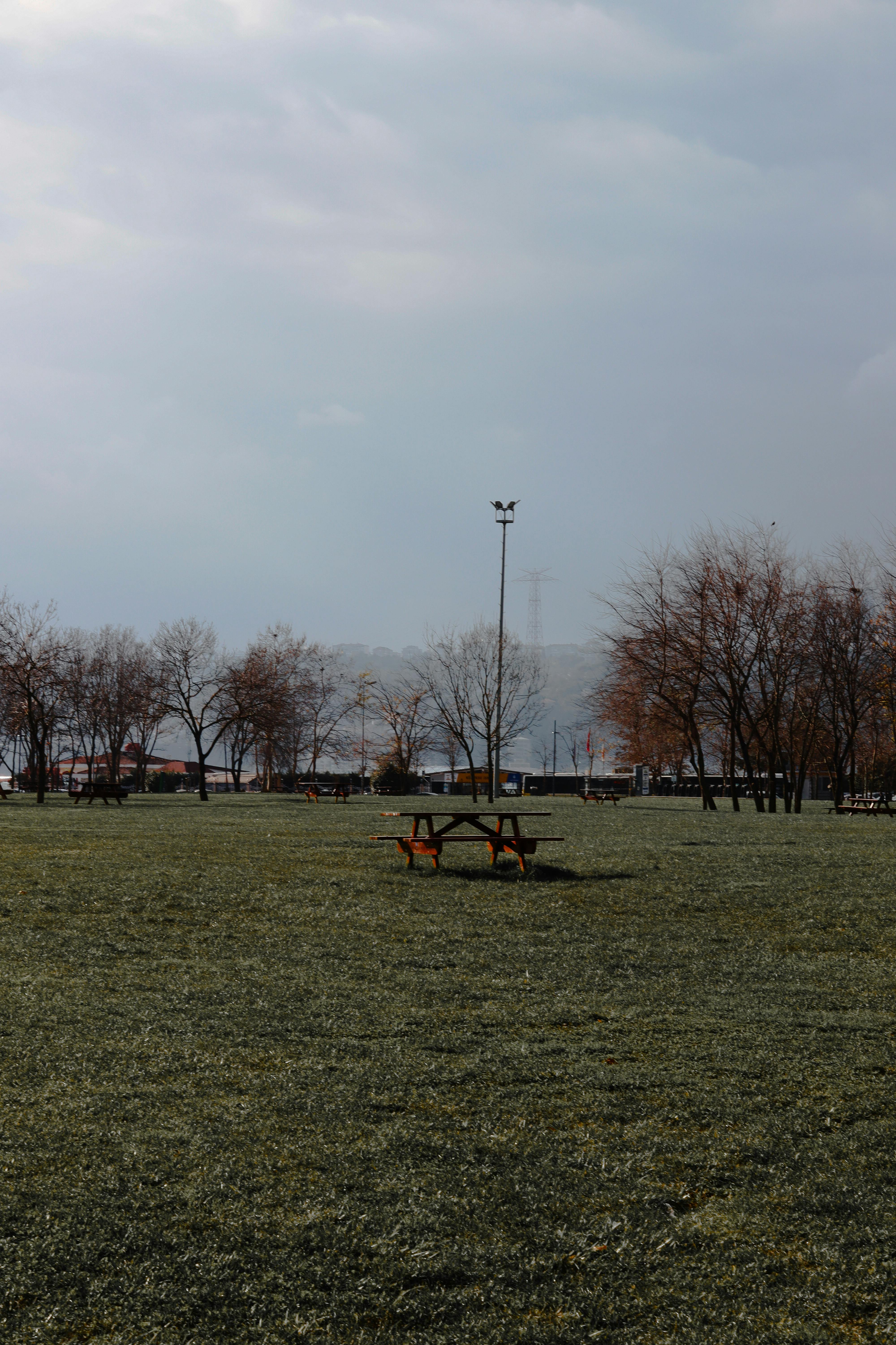 Wooden Cam Table on Lawn in Park · Free Stock Photo