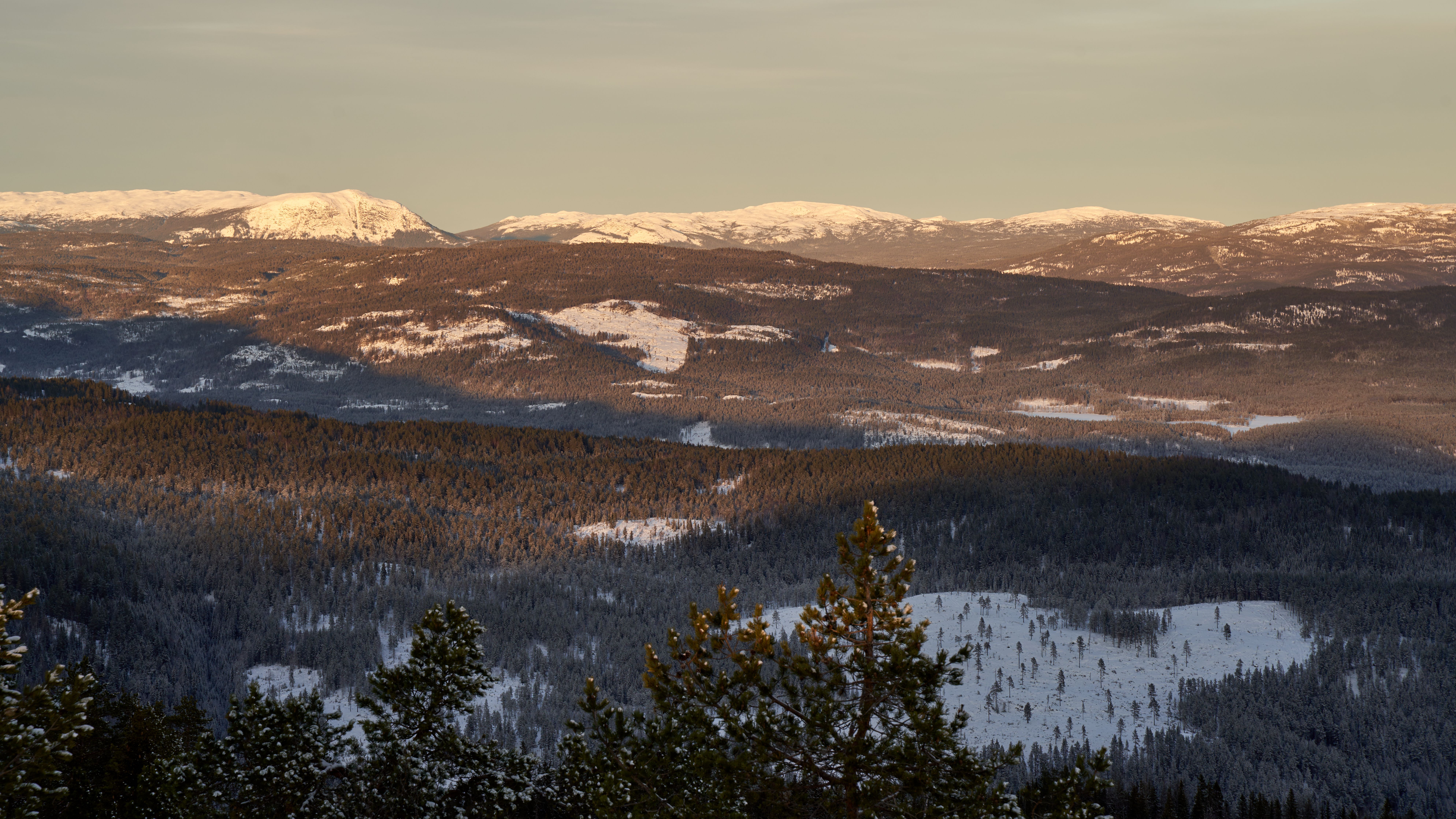 Snow-covered landscape with rugged mountains and bare trees evokes ...