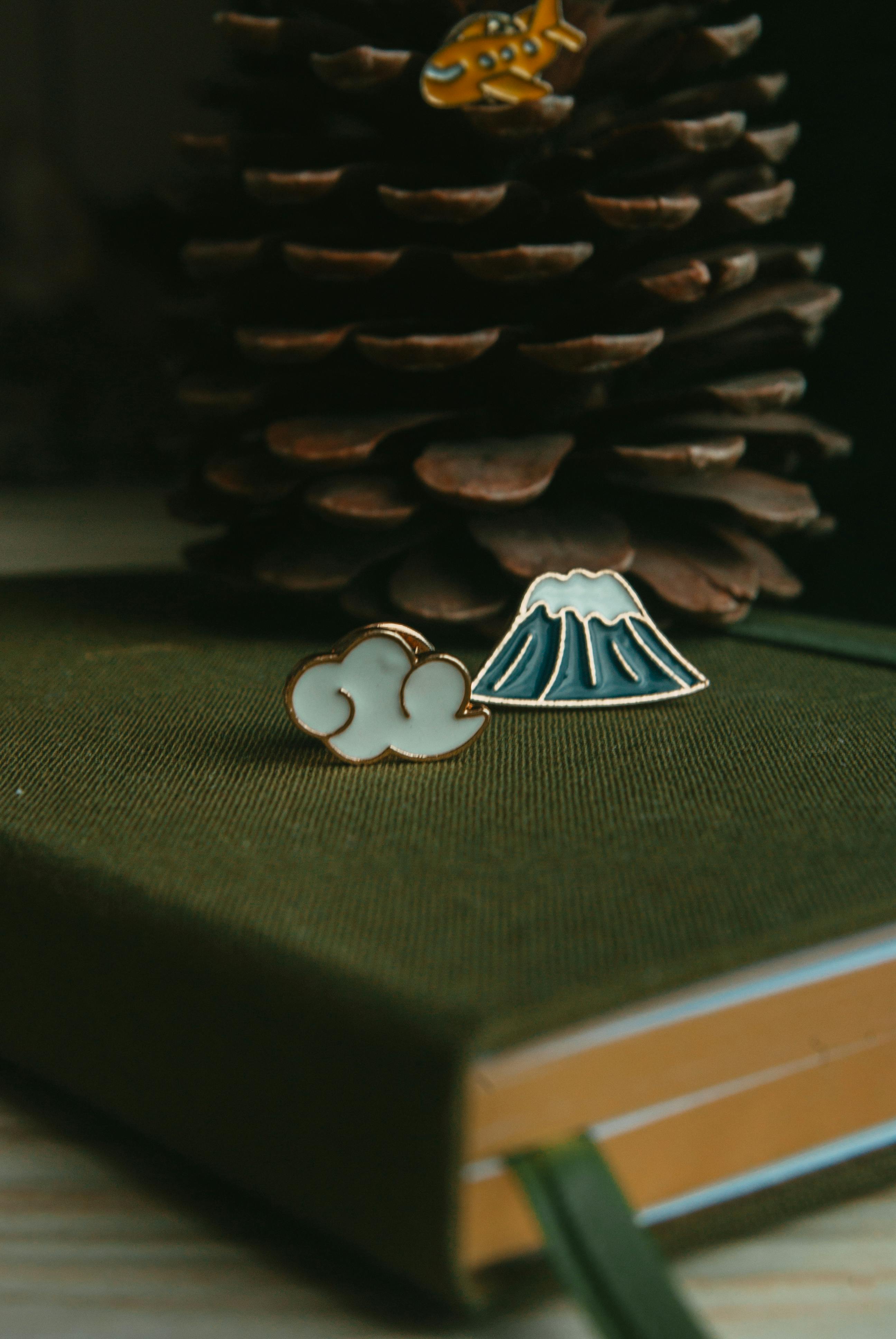 Pins Cone Photos, Download The BEST Free Pins Cone Stock Photos & HD Images